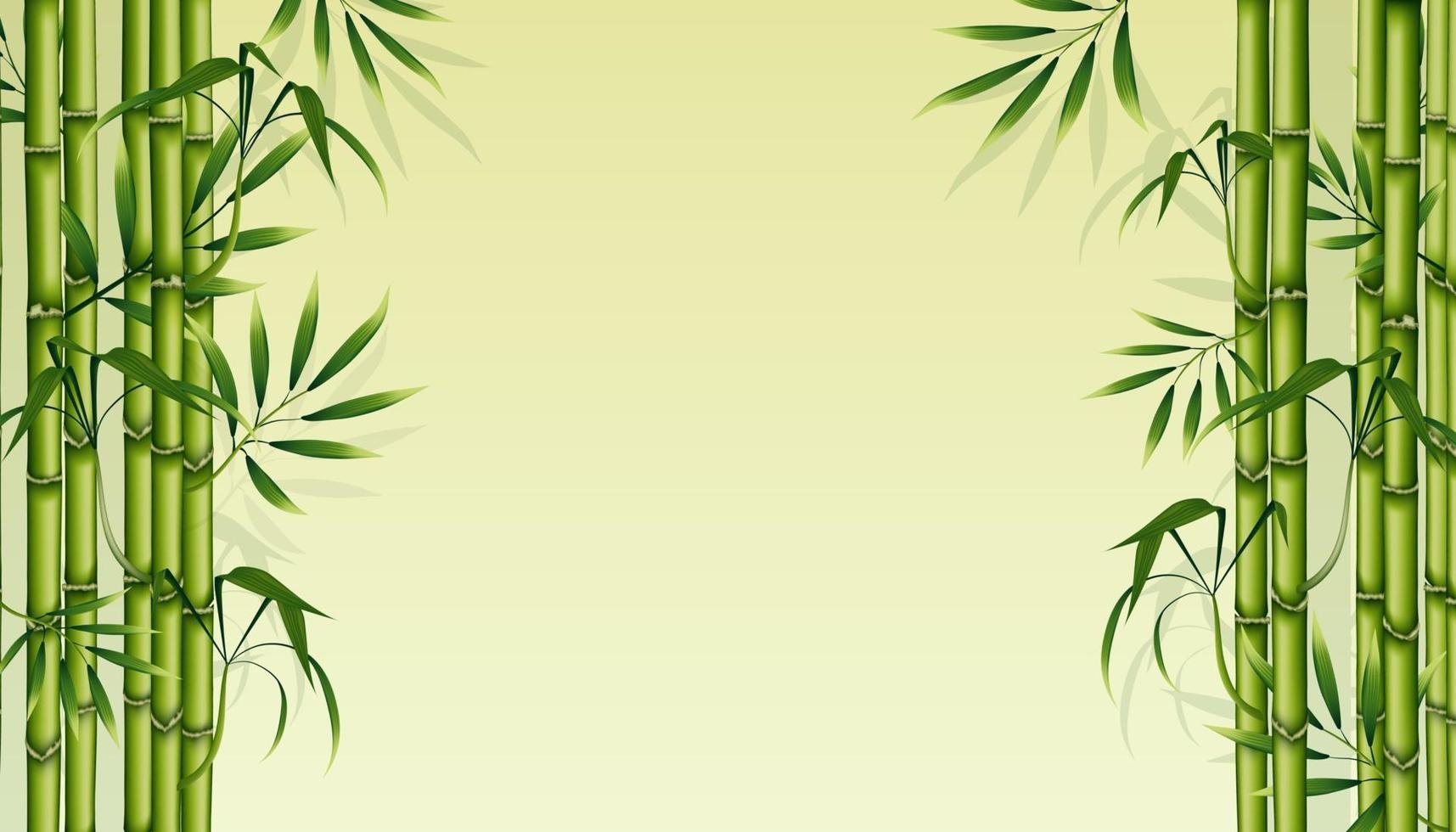 Bamboo Background Vector Art Icons And Graphics For Free Download