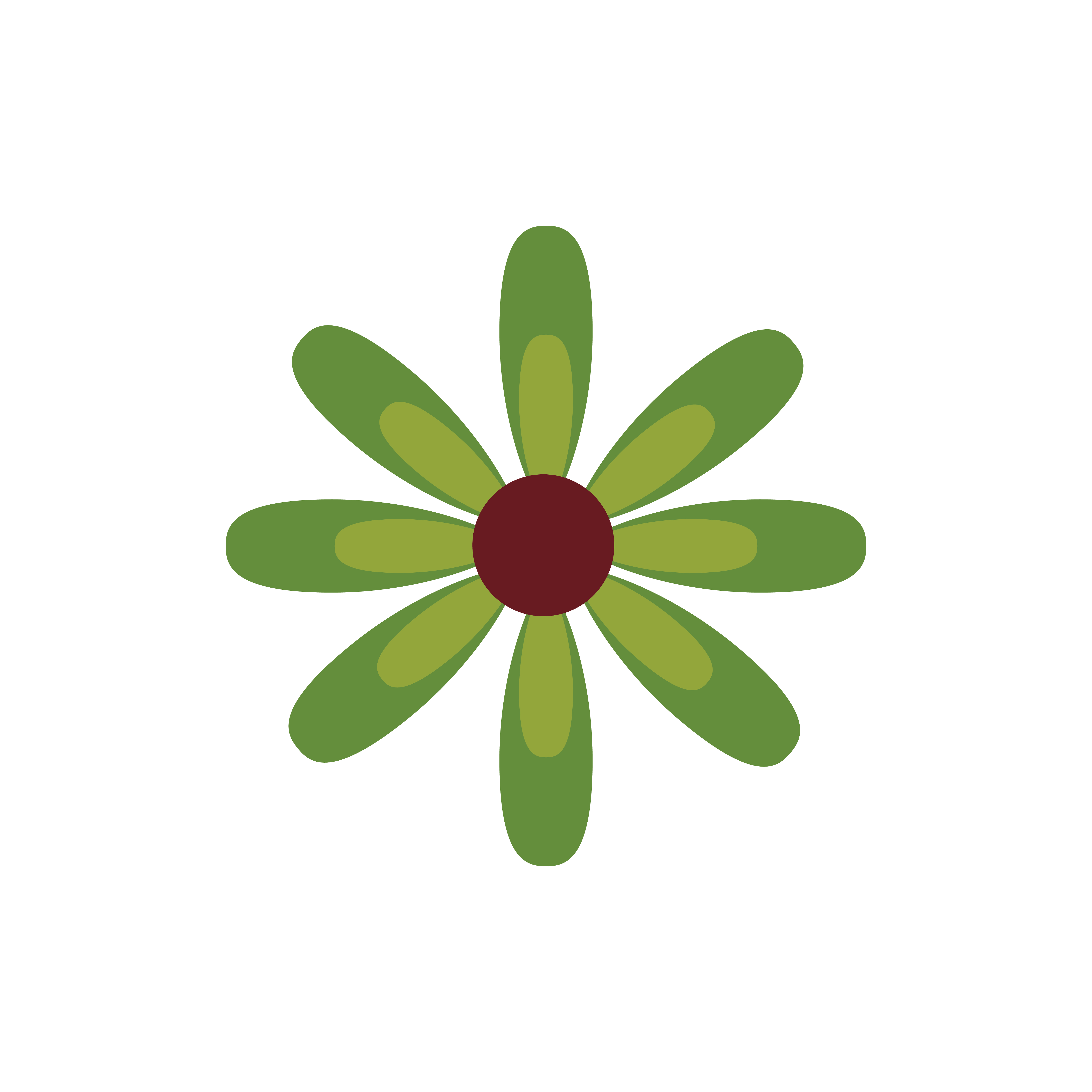 beautifull flower garden spring flat style 2660874 Vector Art at Vecteezy