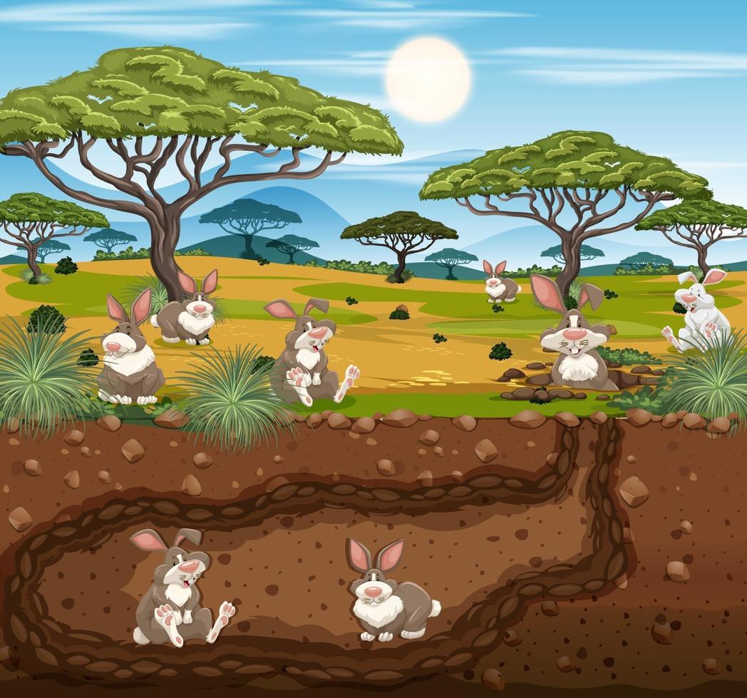 Underground animal burrow with rabbit family 2677359 Vector Art at Vecteezy
