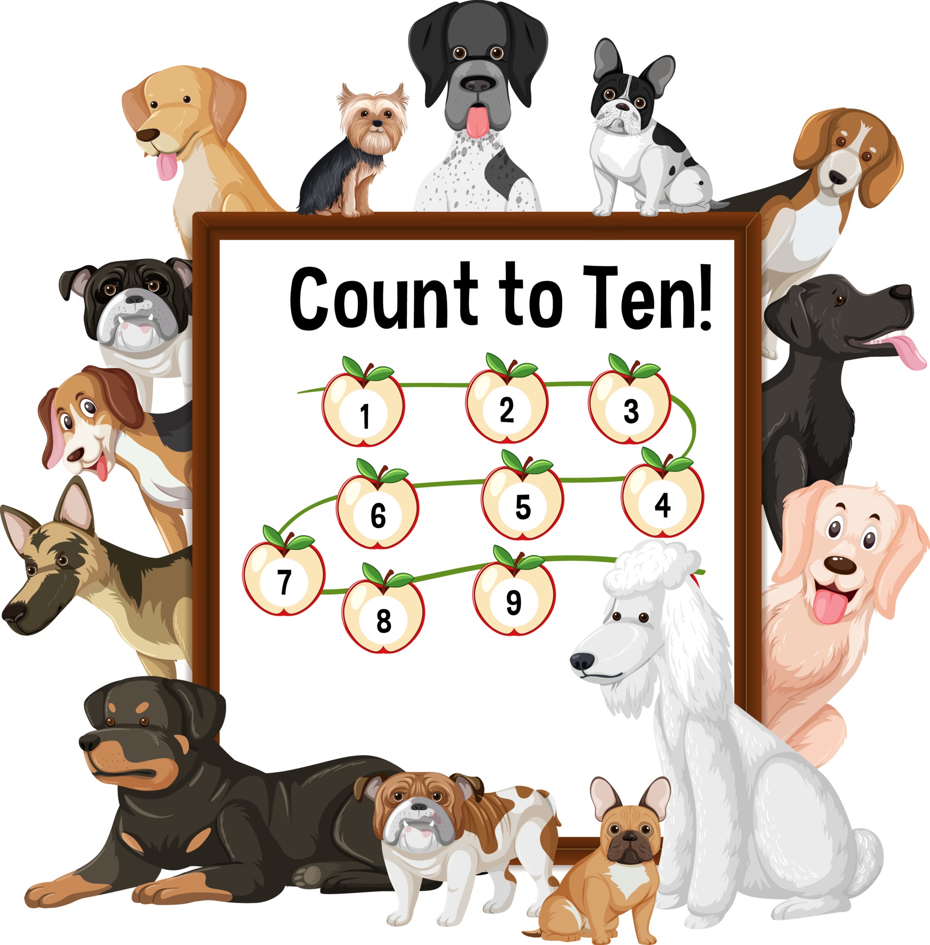Count to Ten board with many different types of dogs 2698530 Vector Art ...
