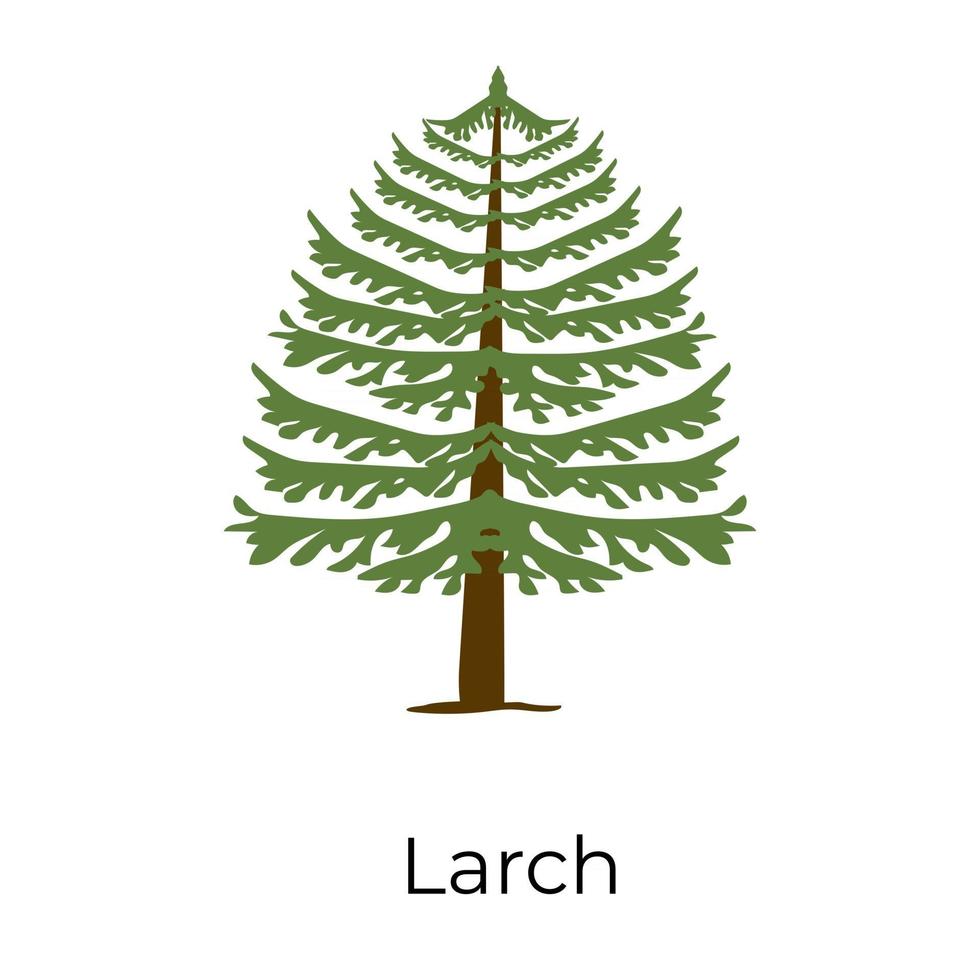 Larch Tree Timber 2709933 Vector Art at Vecteezy Larch Tree Timber 2709933 Vector Art at Vecteezy