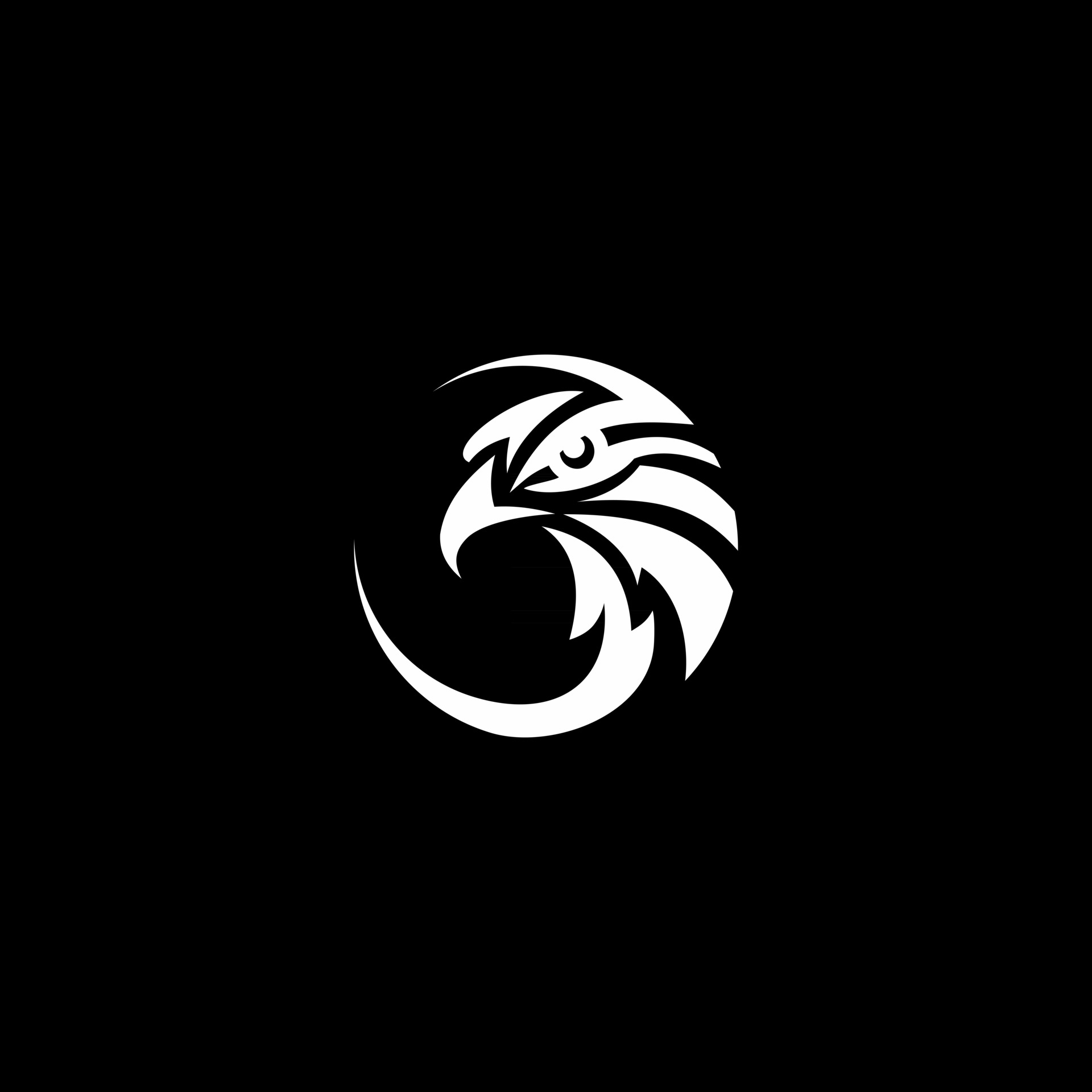 Eagle Eye Logo Vector Art, Icons, and Graphics for Free Download