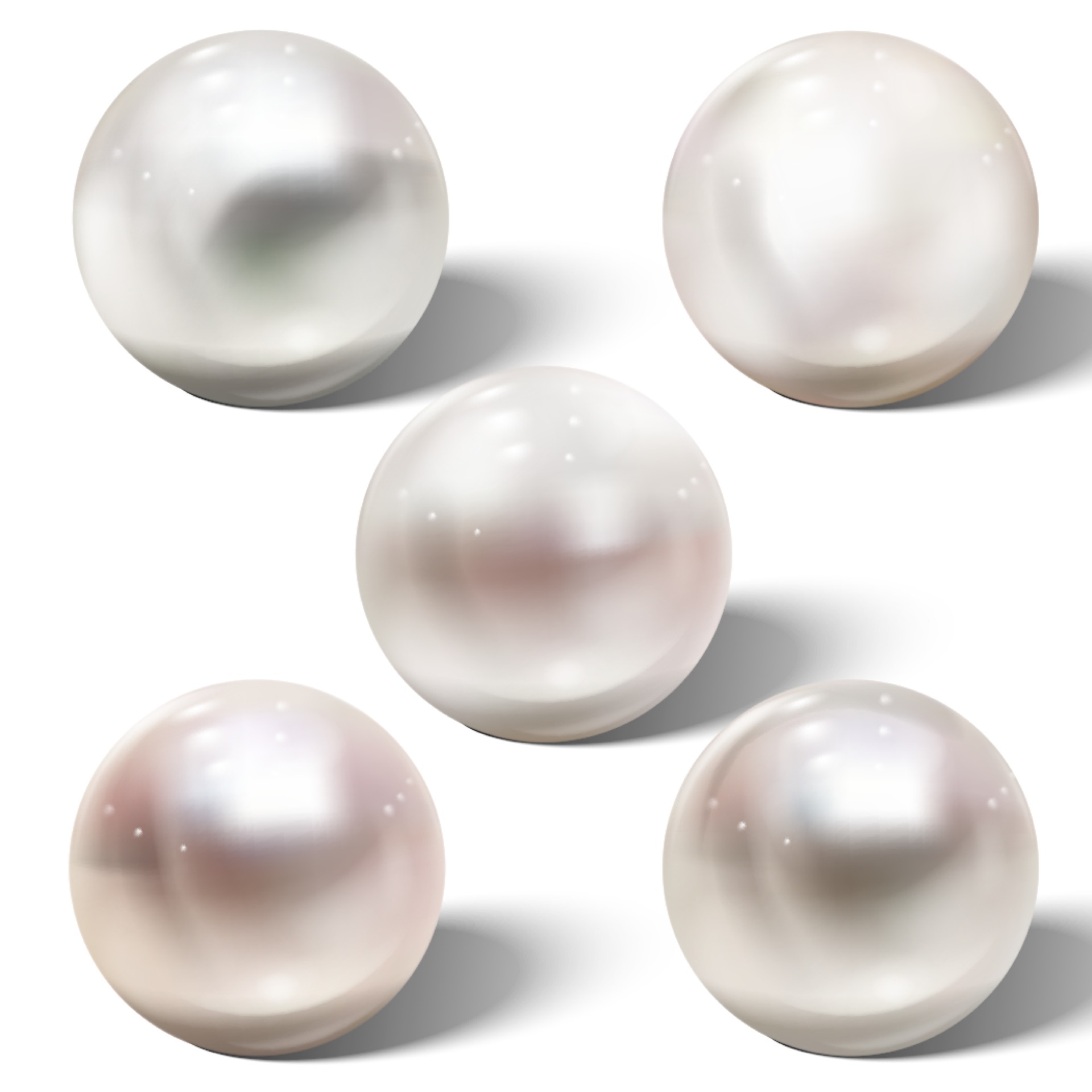Realistic shiny natural sea pearl with light effects 2755902 Vector Art ...