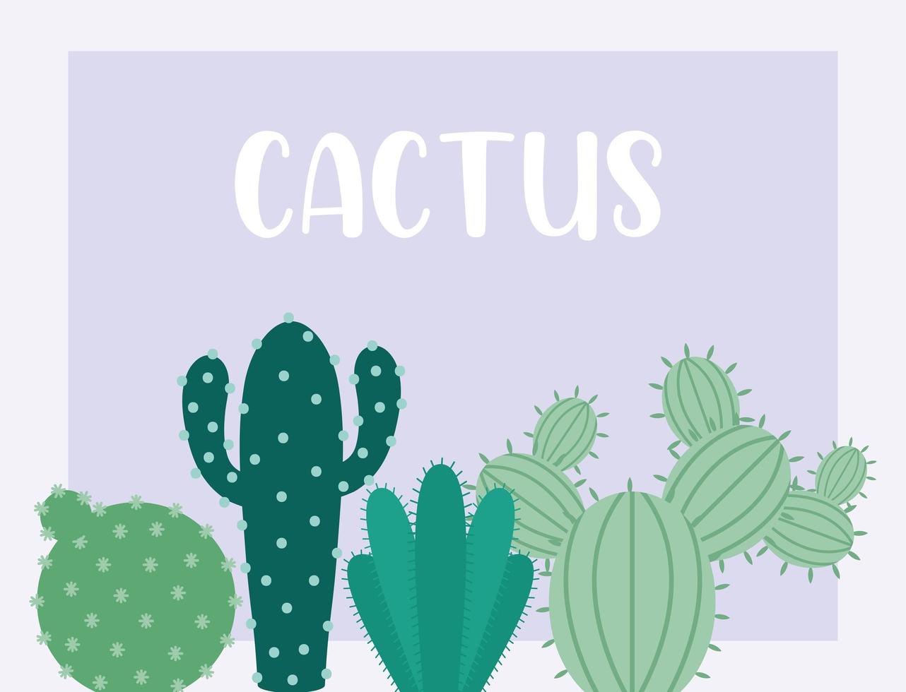 greens cactus card 2780580 Vector Art at Vecteezy