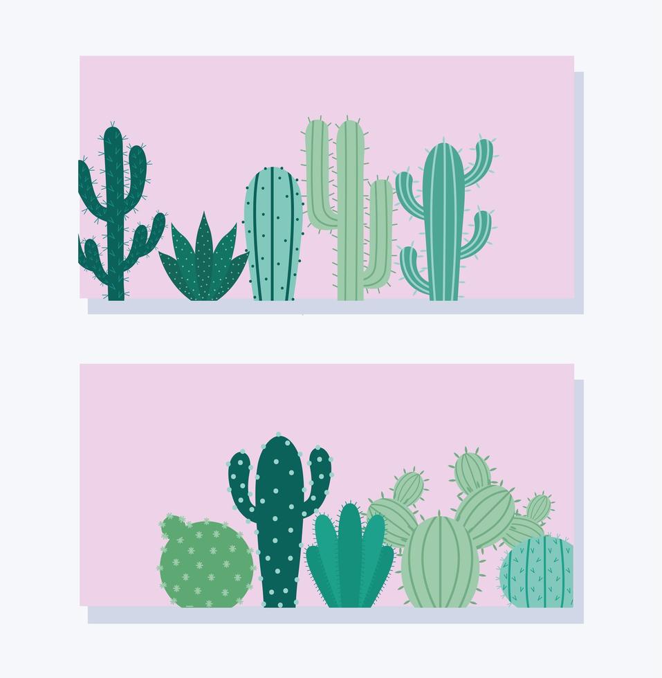 greens cactus cards 2780674 Vector Art at Vecteezy