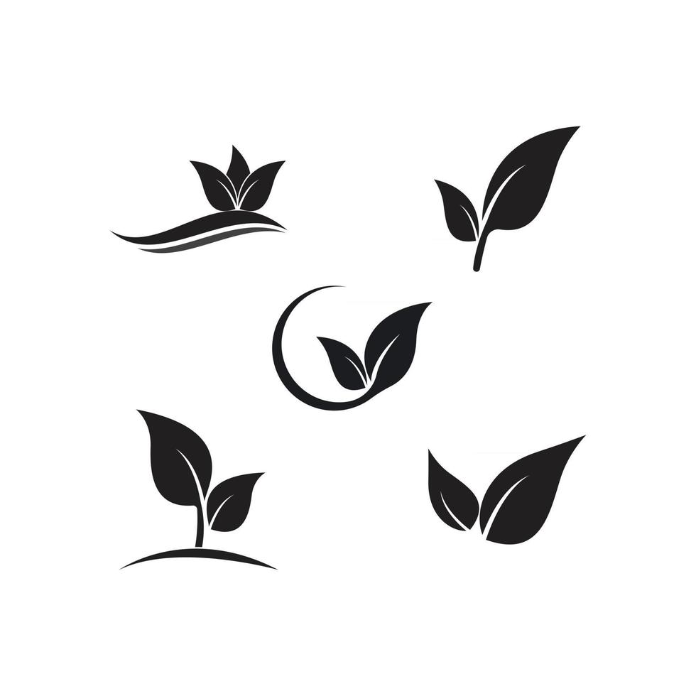 Green Leaf Logo 2784536 Vector Art At Vecteezy green-leaf-logo-2784536-vector-art-at-vecteezy