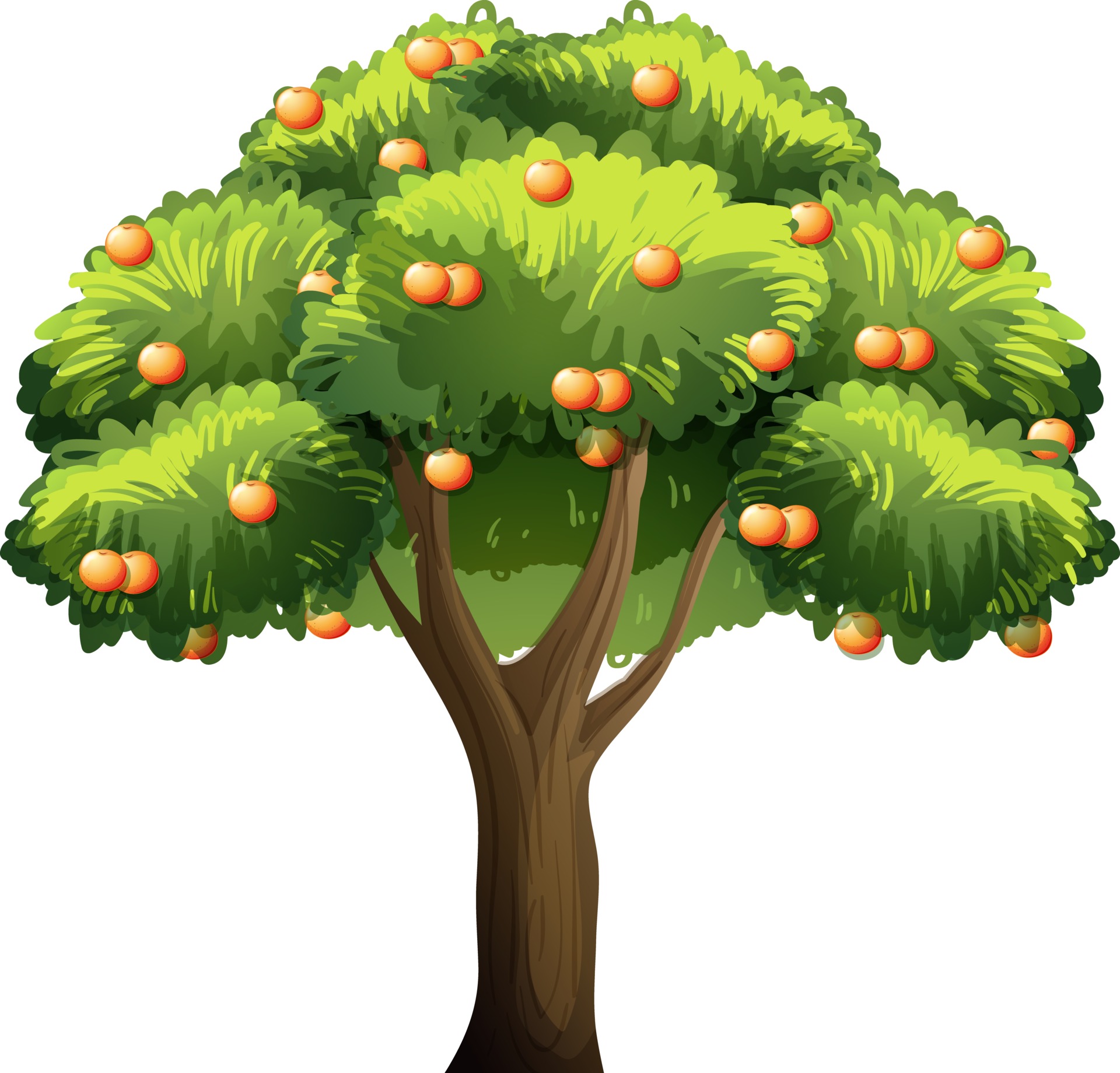 Fruit Tree Animation