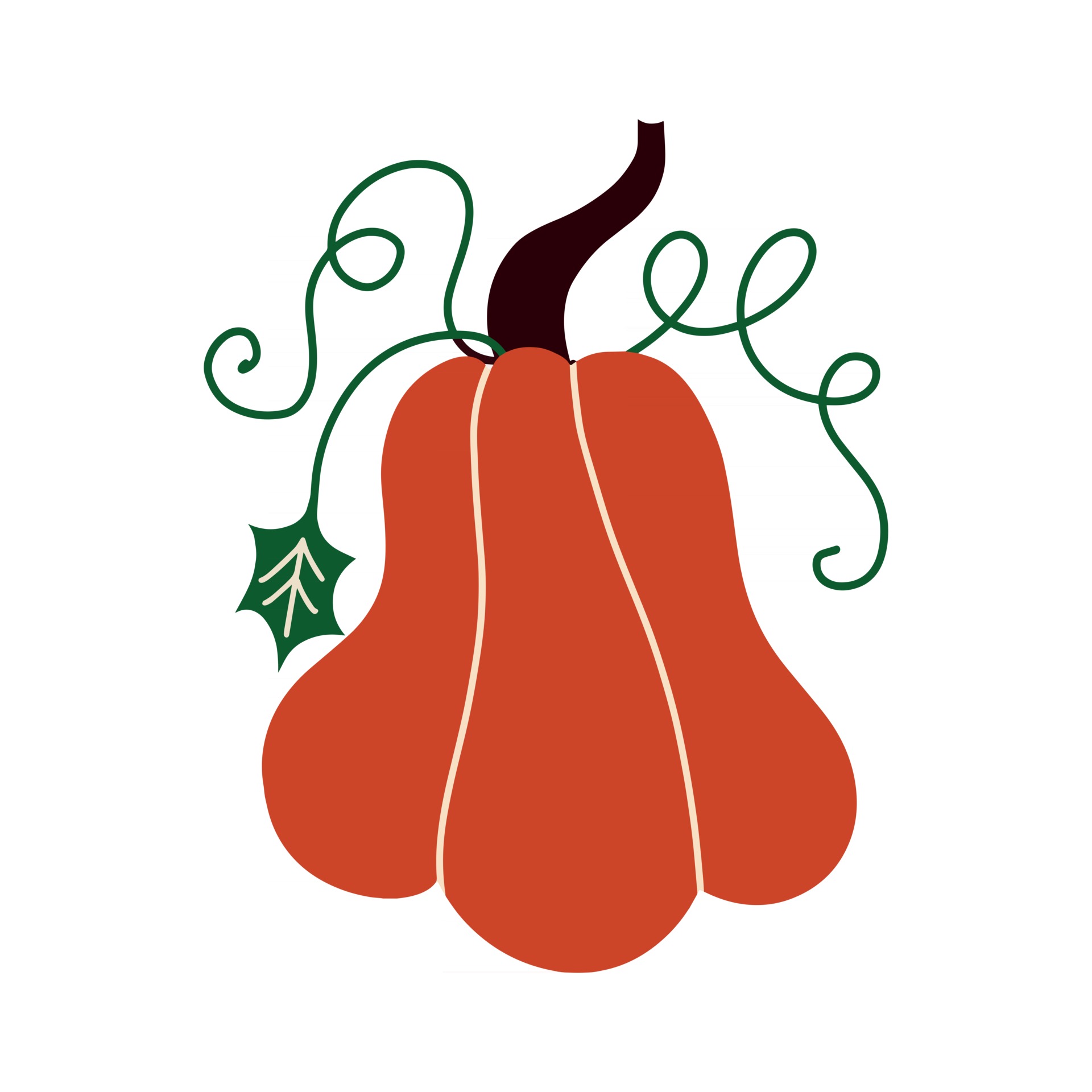 Pumpkin for thanksgiving day and Halloween design.Autumn harvest ...