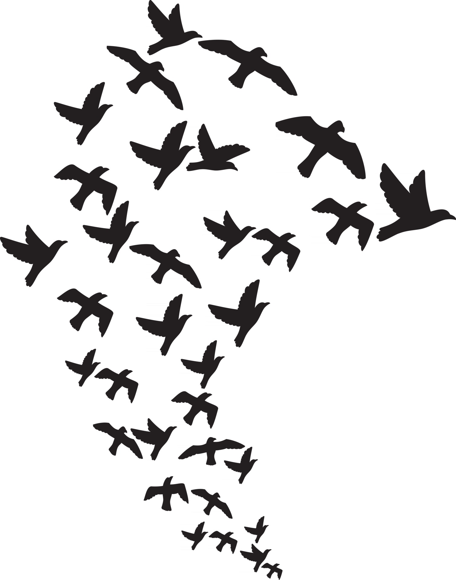 una bandada de pájaros 2850664 Vector en Vecteezy una bandada de pájaros 2850664 Vector en Vecteezy