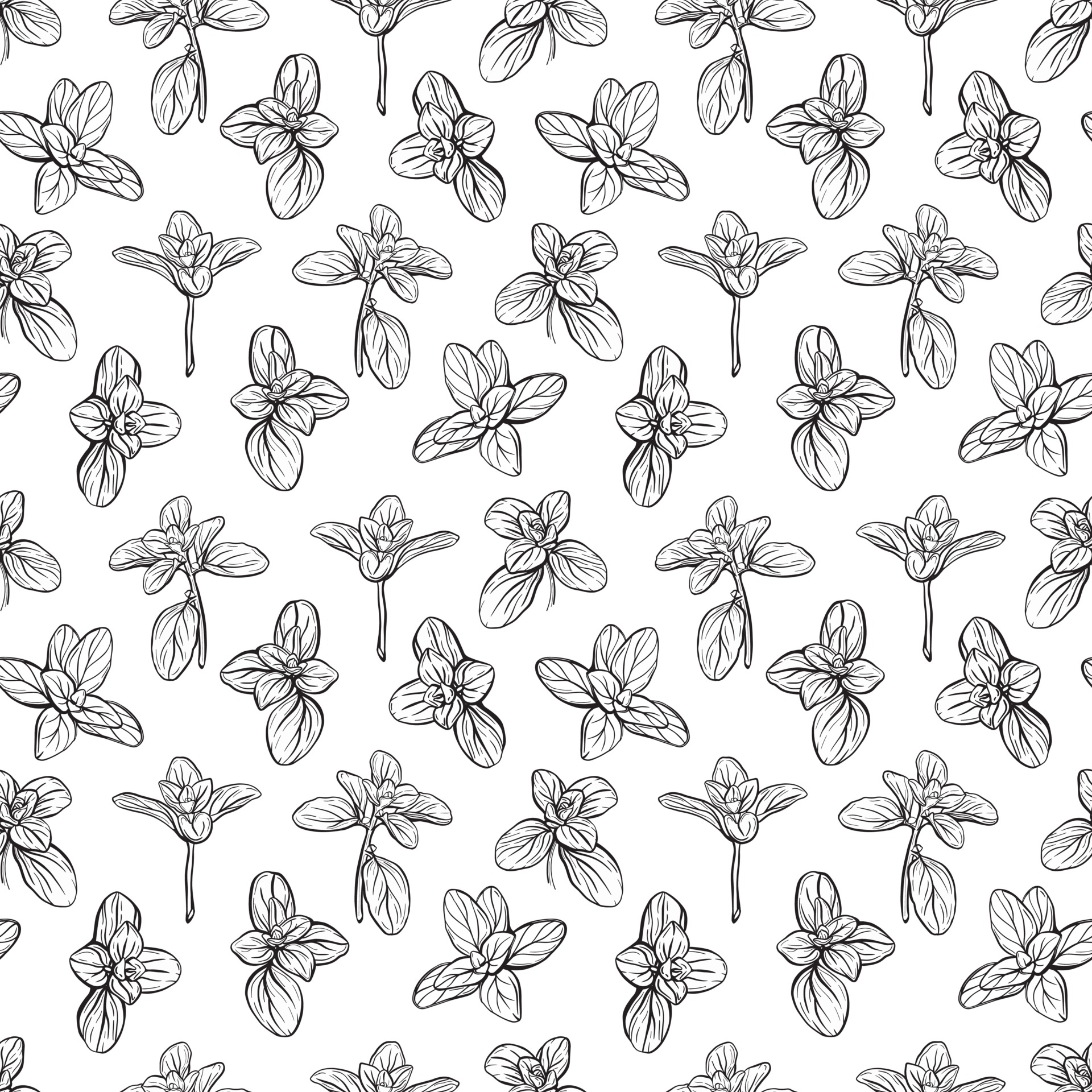 Basil Leaves Seamless Pattern 2927422 Vector Art At Vecteezy basil-leaves-seamless-pattern-2927422-vector-art-at-vecteezy