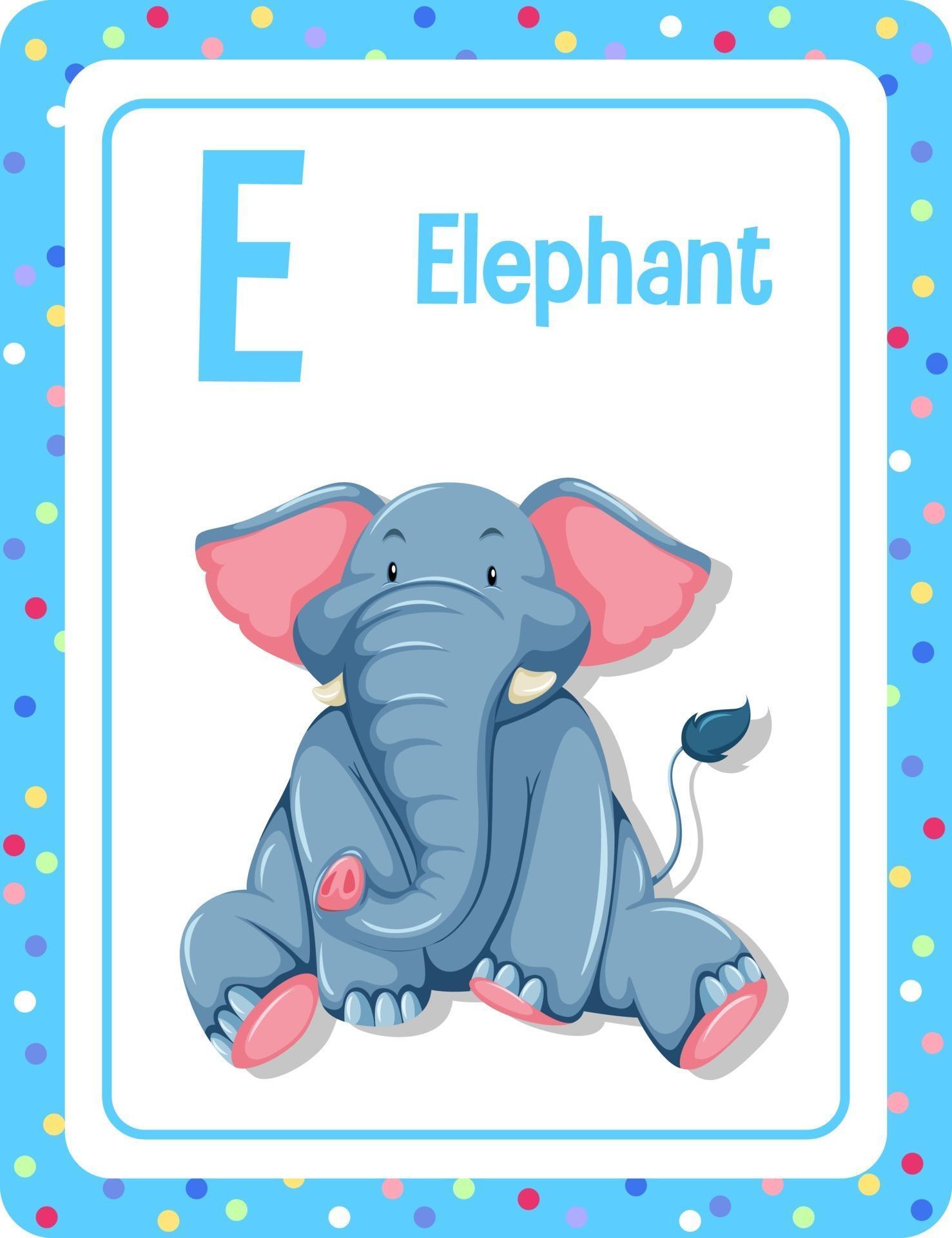Letter E Flashcards Premium A To Z Flashcards