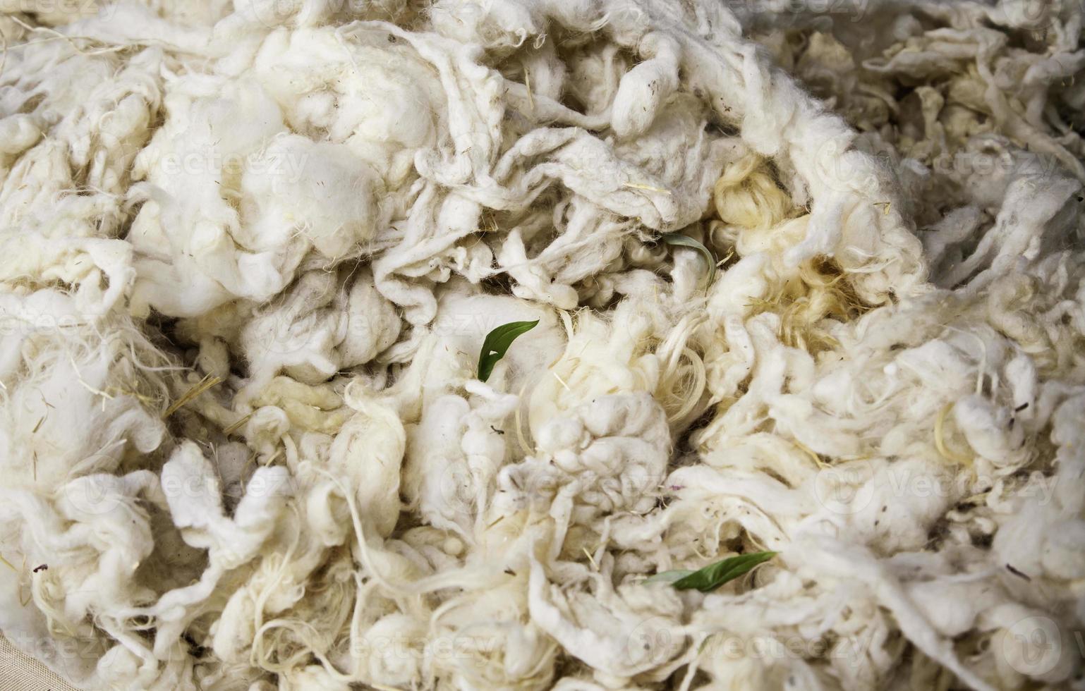 Detail of freshly cut virgin wool 2944018 Stock Photo at Vecteezy