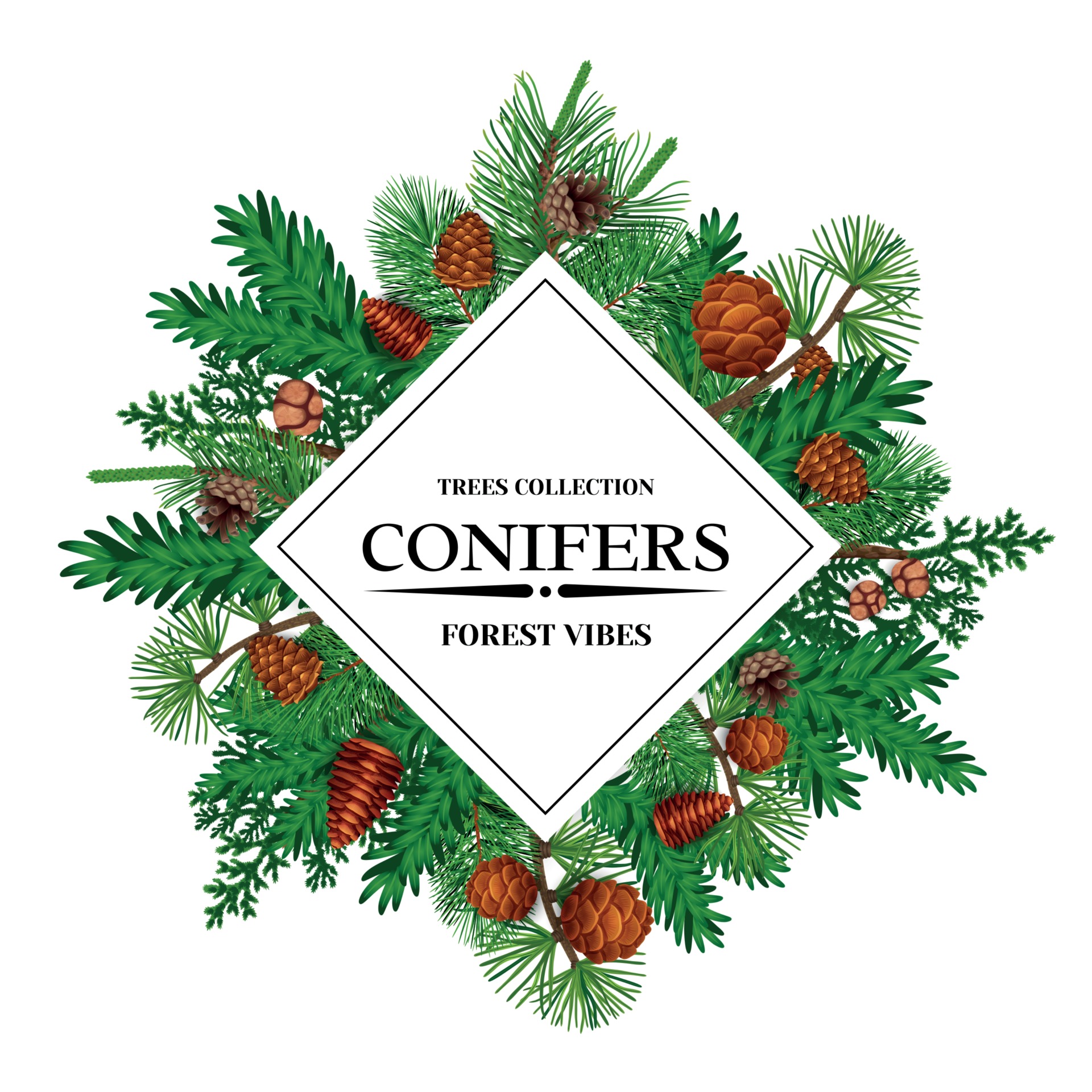 Pine Tree Frame Vector Illustration 2950899 Vector Art at Vecteezy