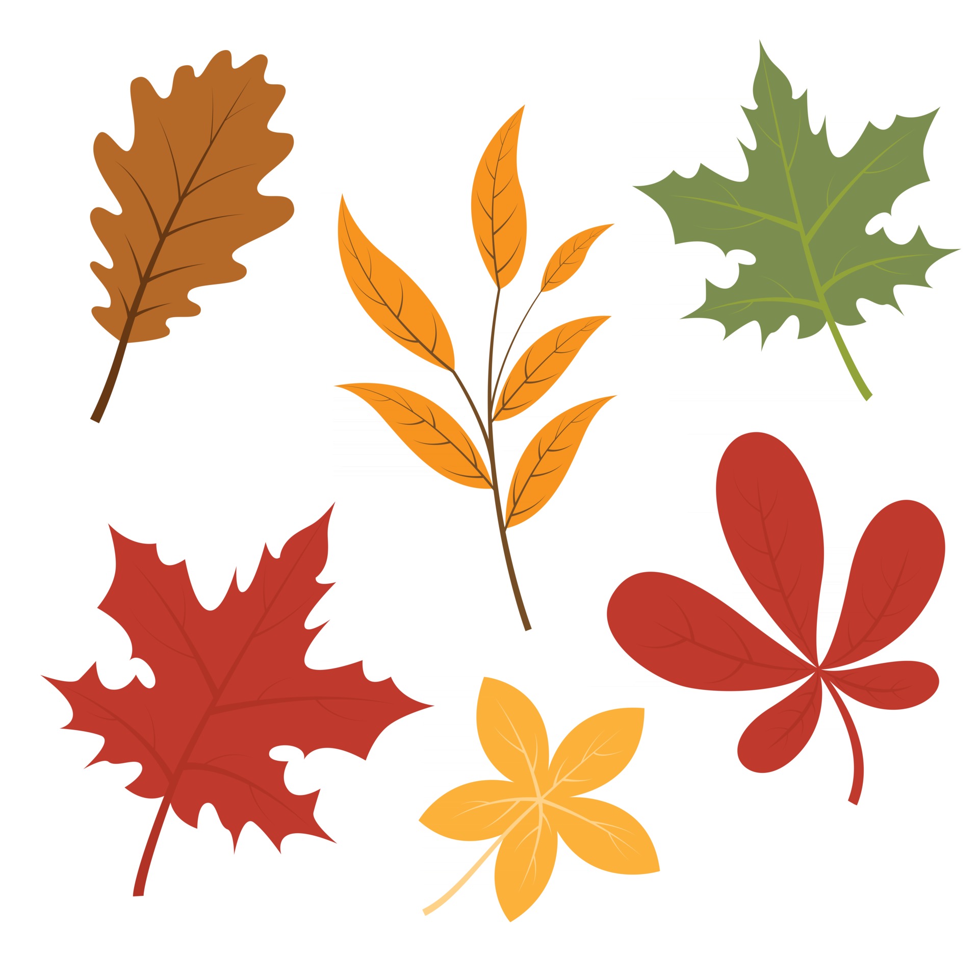 Fall Leaves Vector