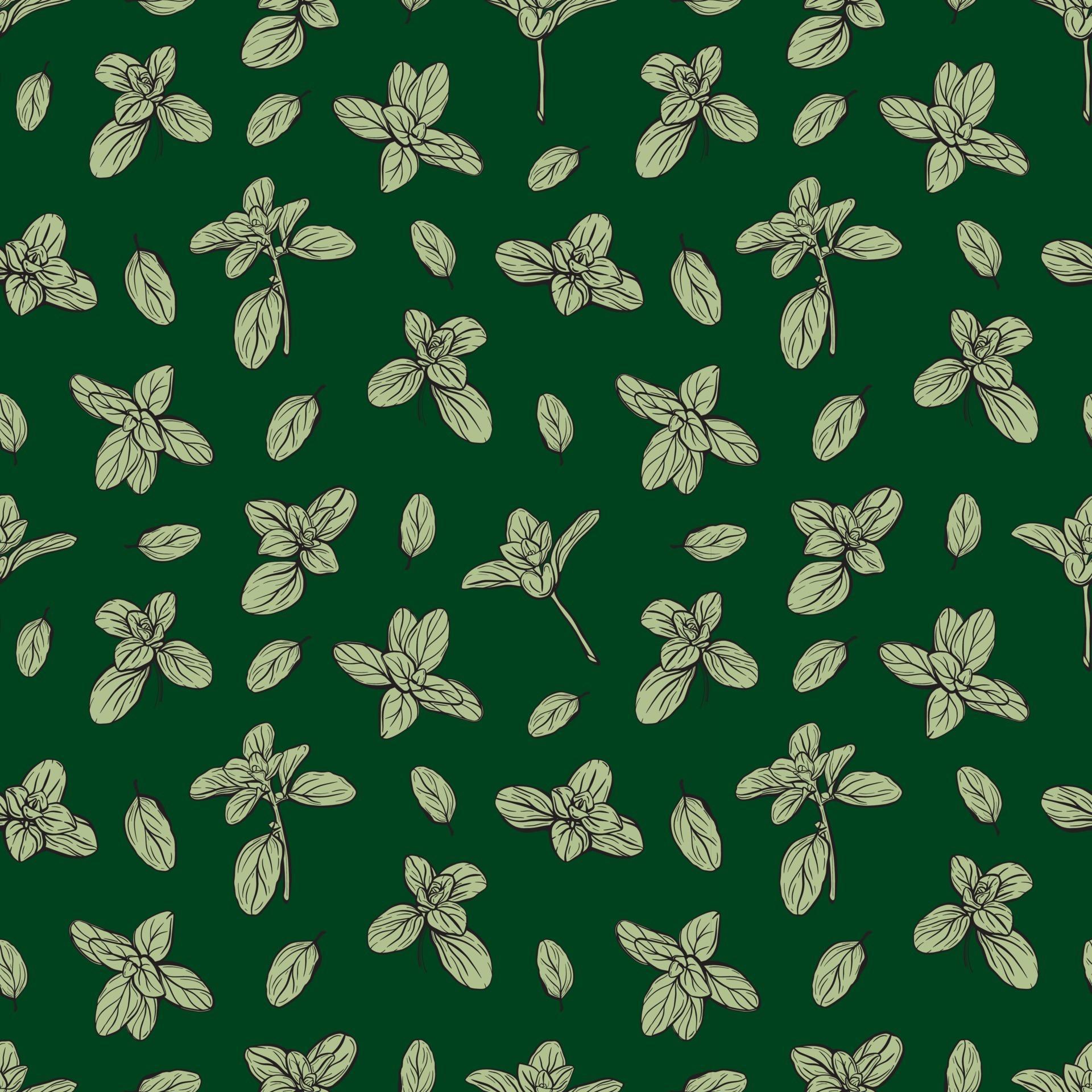 basil seamless pattern 2970711 Vector Art at Vecteezy