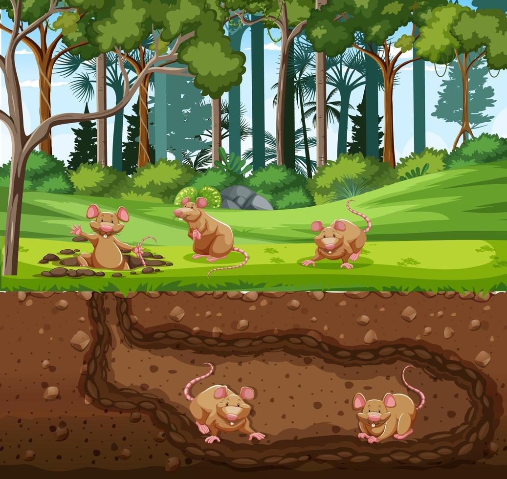 Underground animal burrow with rat family 2978630 Vector Art at Vecteezy