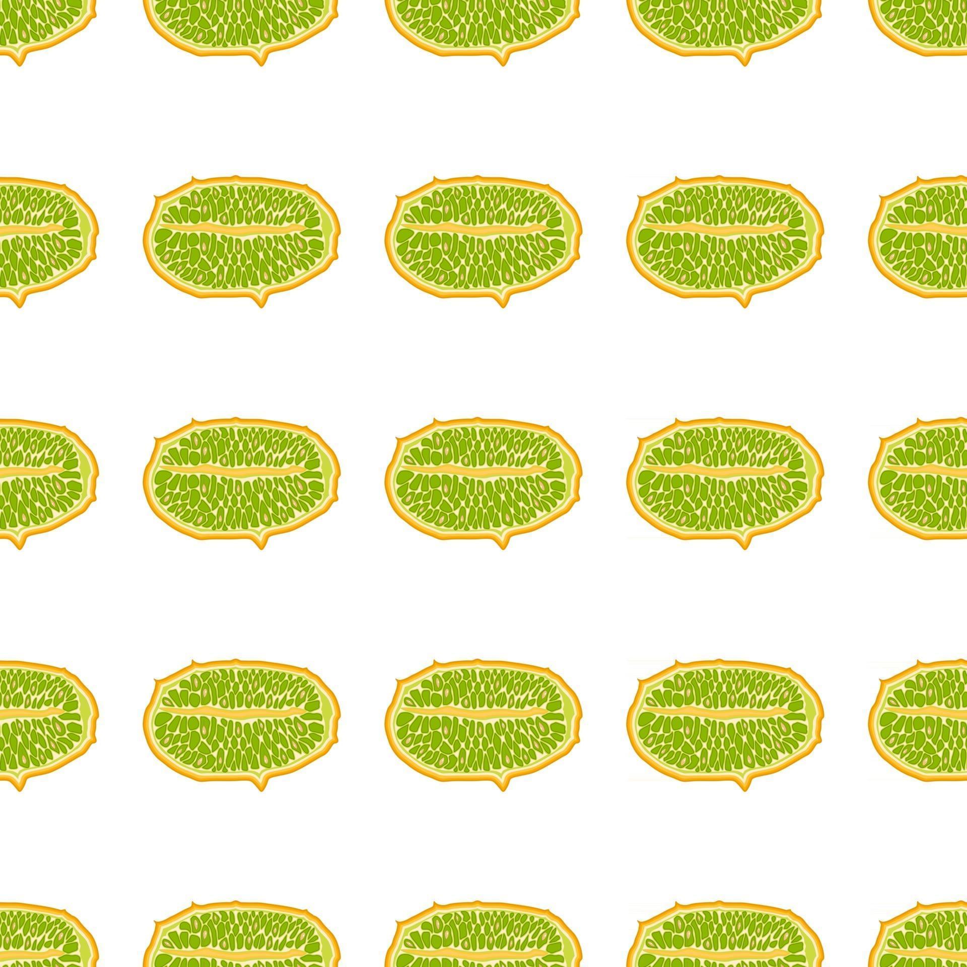 Illustration on theme big colored seamless kiwano 2985108 Vector Art at ...