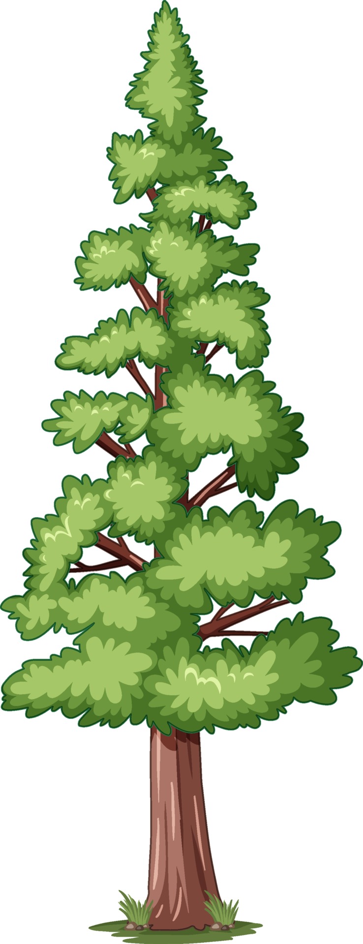 Forest pine tree isolated 2997273 Vector Art at Vecteezy