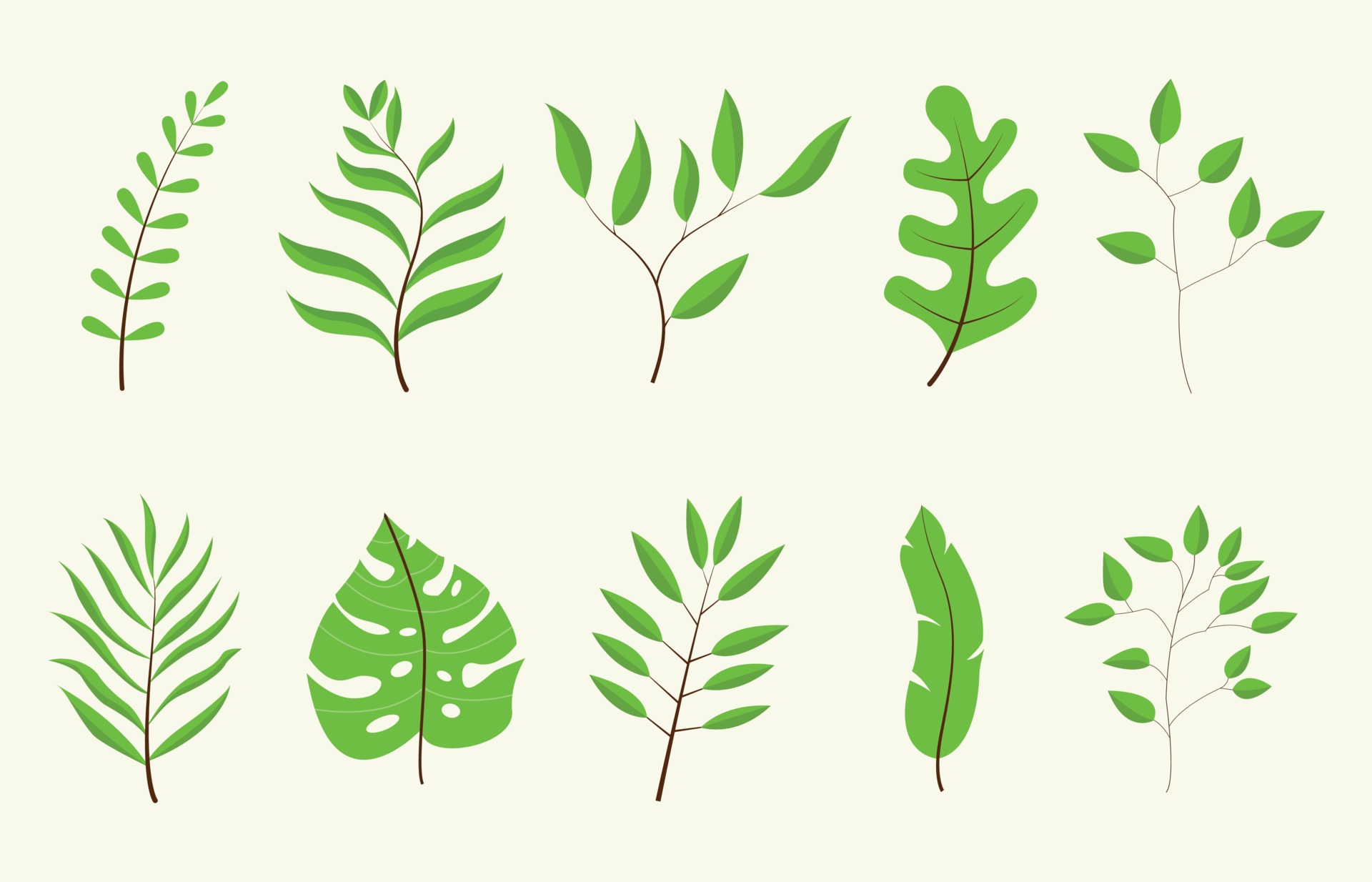 leaf or leaves green tree set collection 3145823 Vector Art at Vecteezy