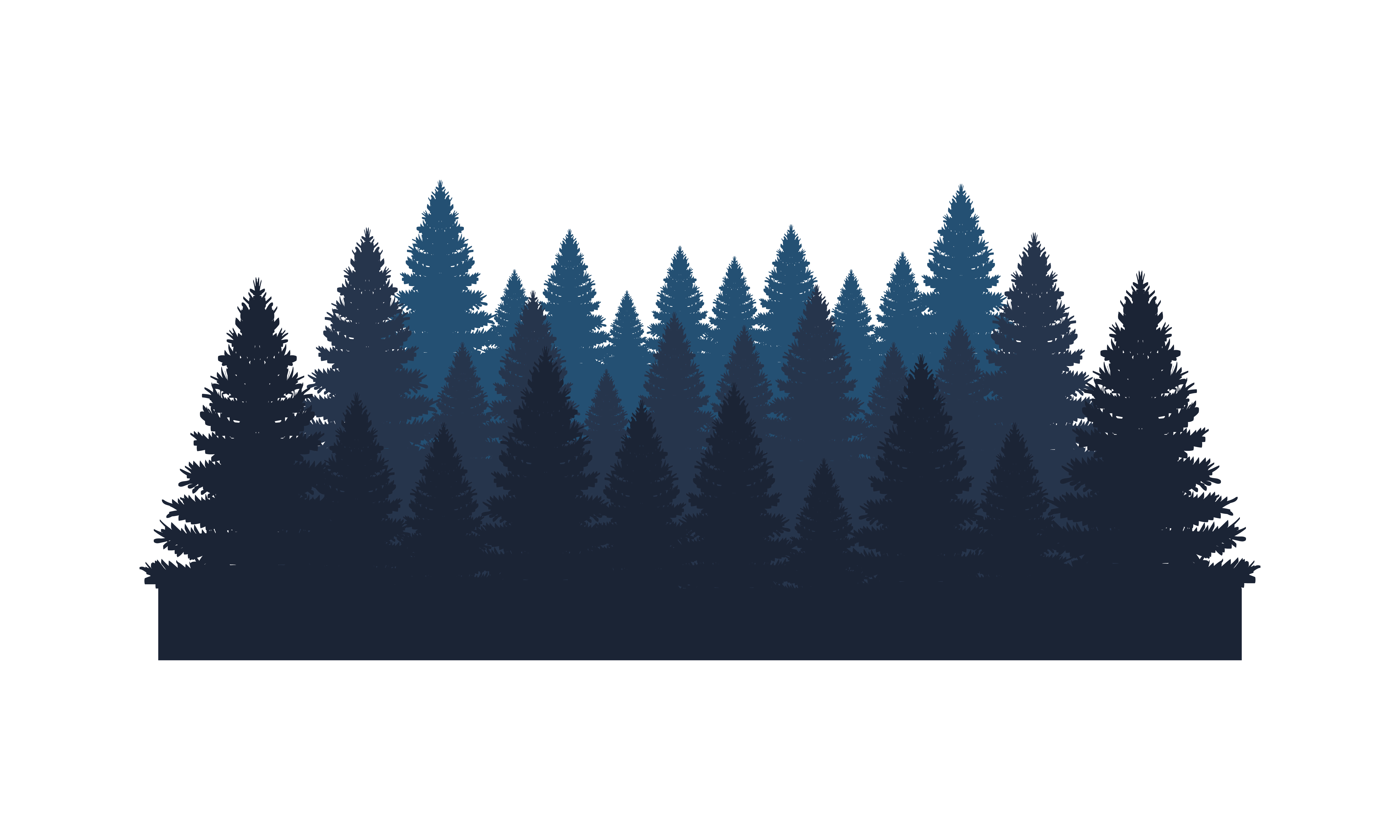 set pine trees plant isolated icon 3180057 Vector Art at Vecteezy