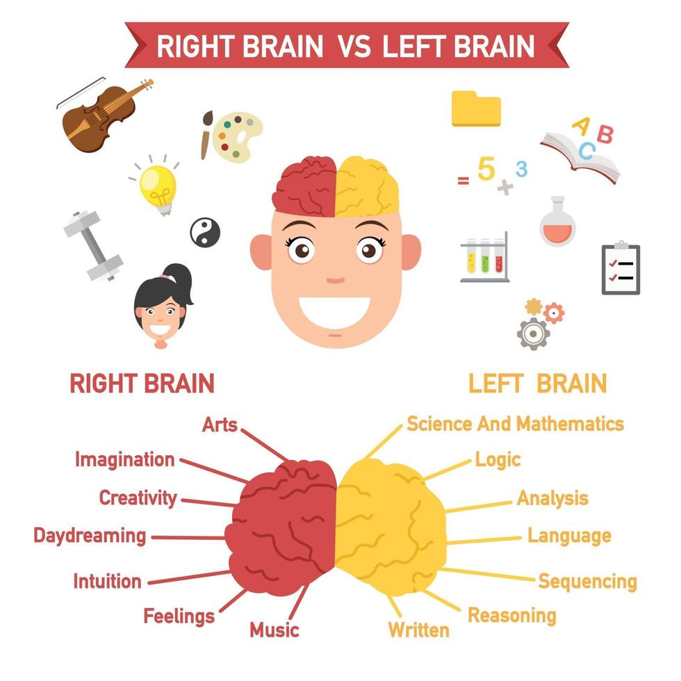 Left and right brain functions,vector 3204563 Vector Art at Vecteezy