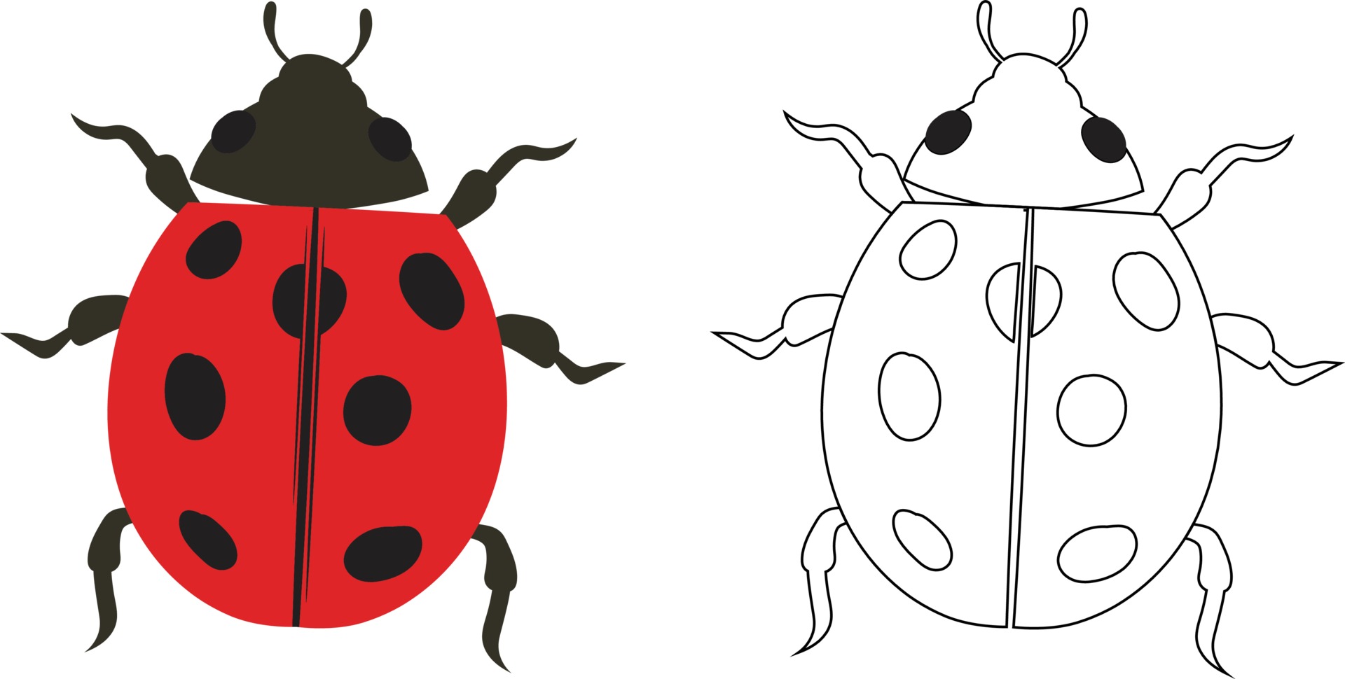 Ladybird Vector Art, Icons, and Graphics for Free Download Ladybird Vector Art, Icons, and Graphics for Free Download