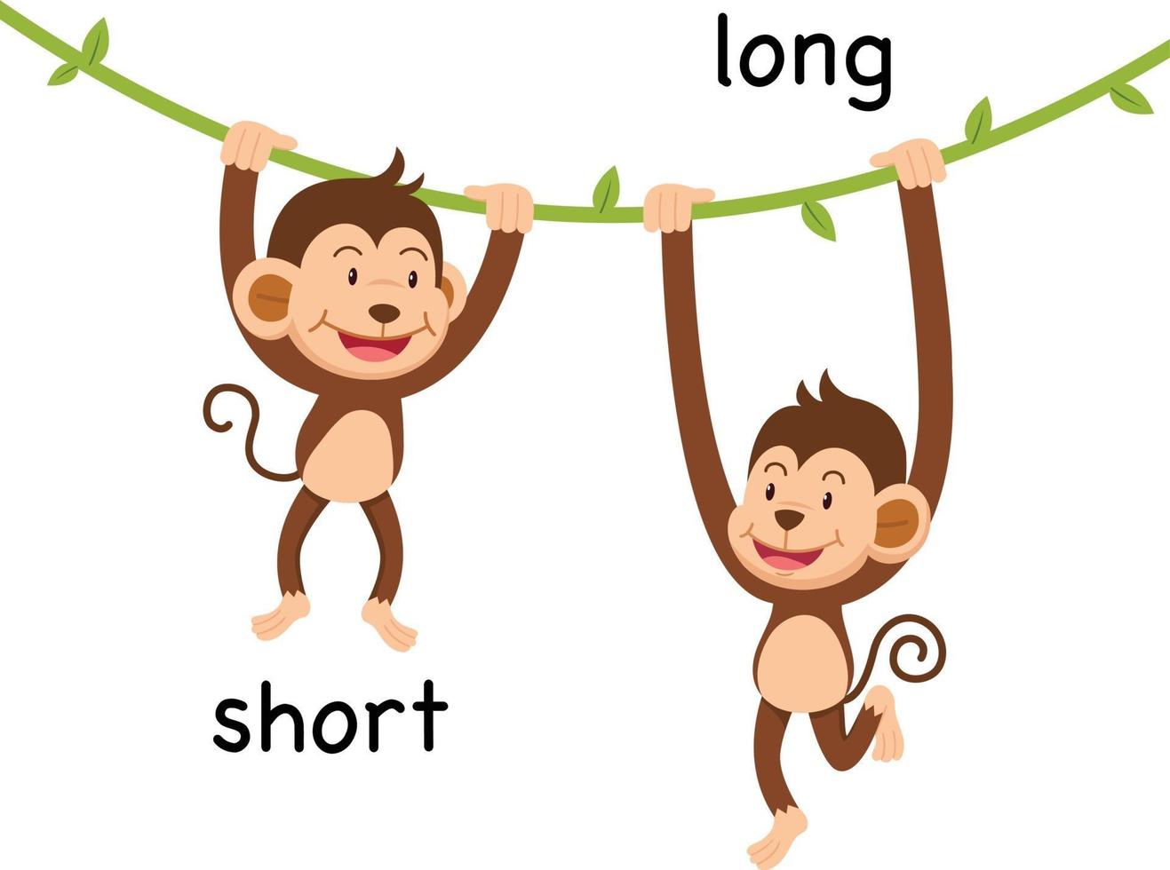 Opposite short and long illustration 3239971 Vector Art at Vecteezy