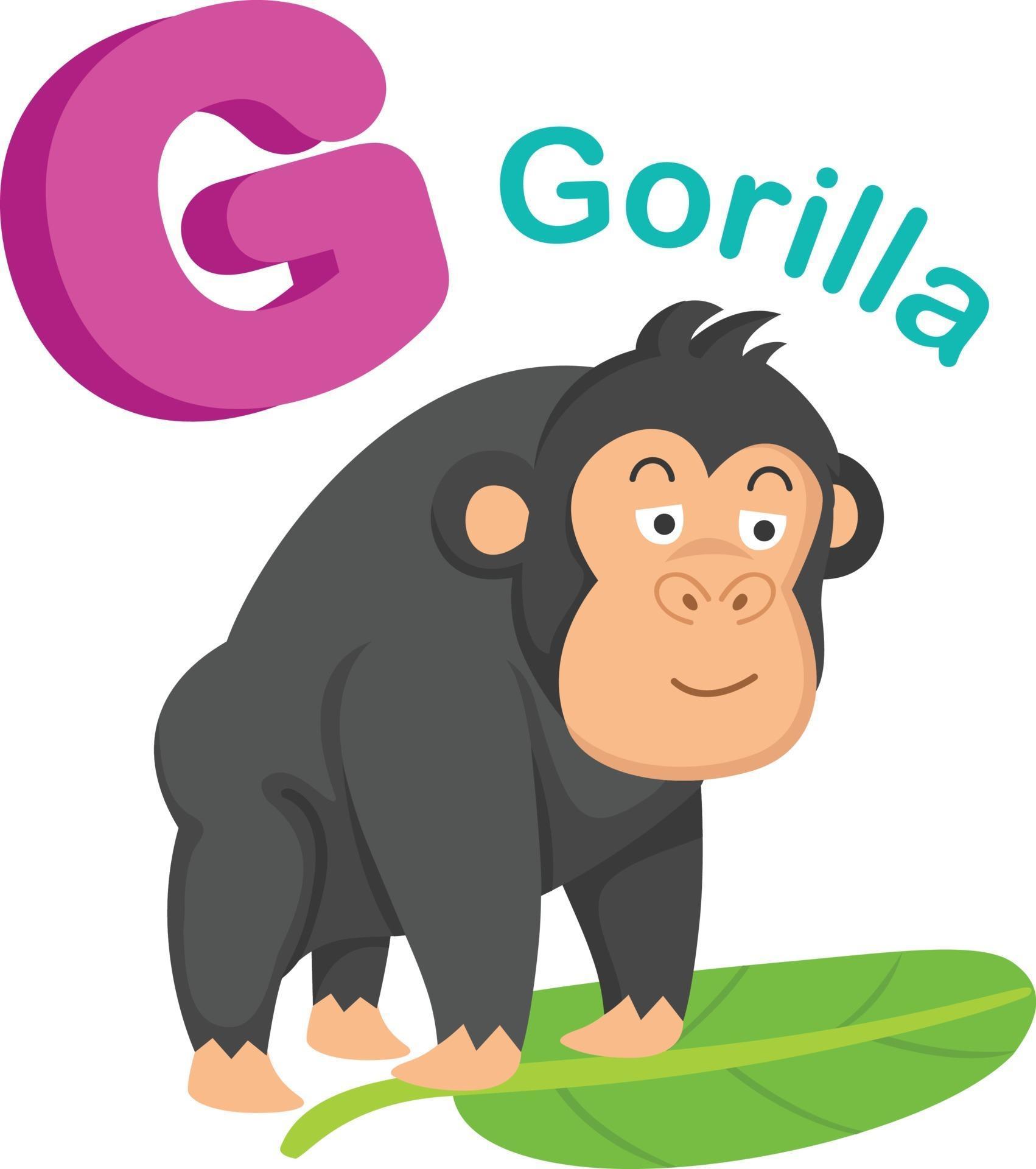 Illustration Isolated Alphabet Letter G Gorilla 3239995 Vector Art at ...