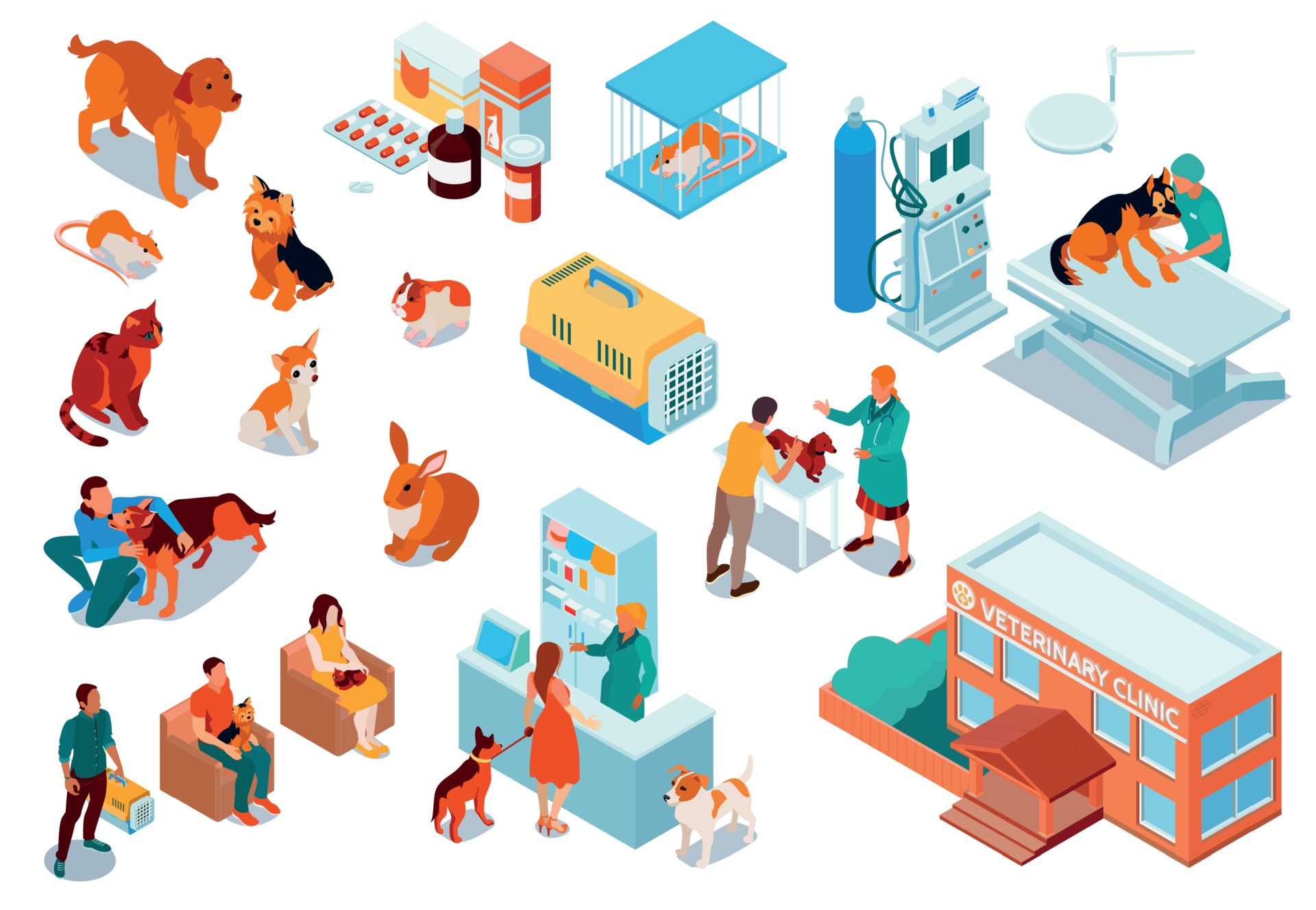 Isometric Veterinary Icon Set 3294883 Vector Art at Vecteezy Isometric Veterinary Icon Set 3294883 Vector Art at Vecteezy