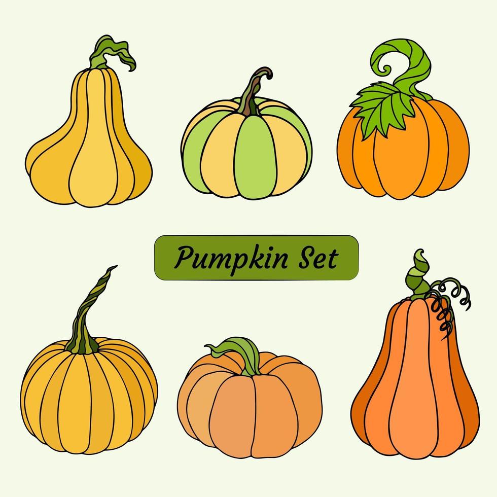A set with pumpkins for autumn or Halloween 3348516 Vector Art at Vecteezy