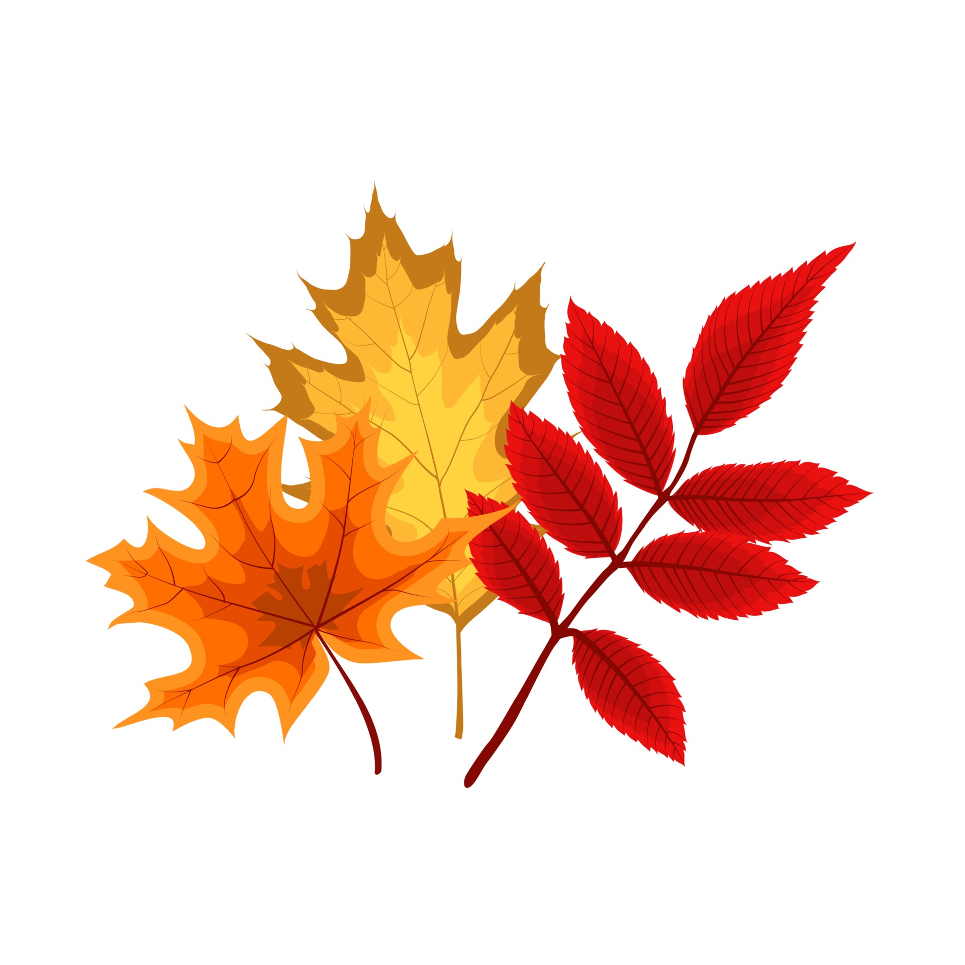 Autumn Falling Leaves Icon Isolated On White Background 3355122 Vector