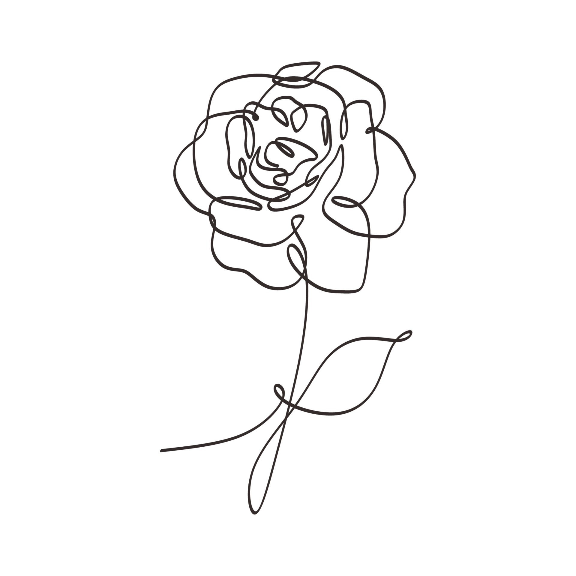 Flower Continuous One Line Art Drawing Vector Beauty Rose 3380938