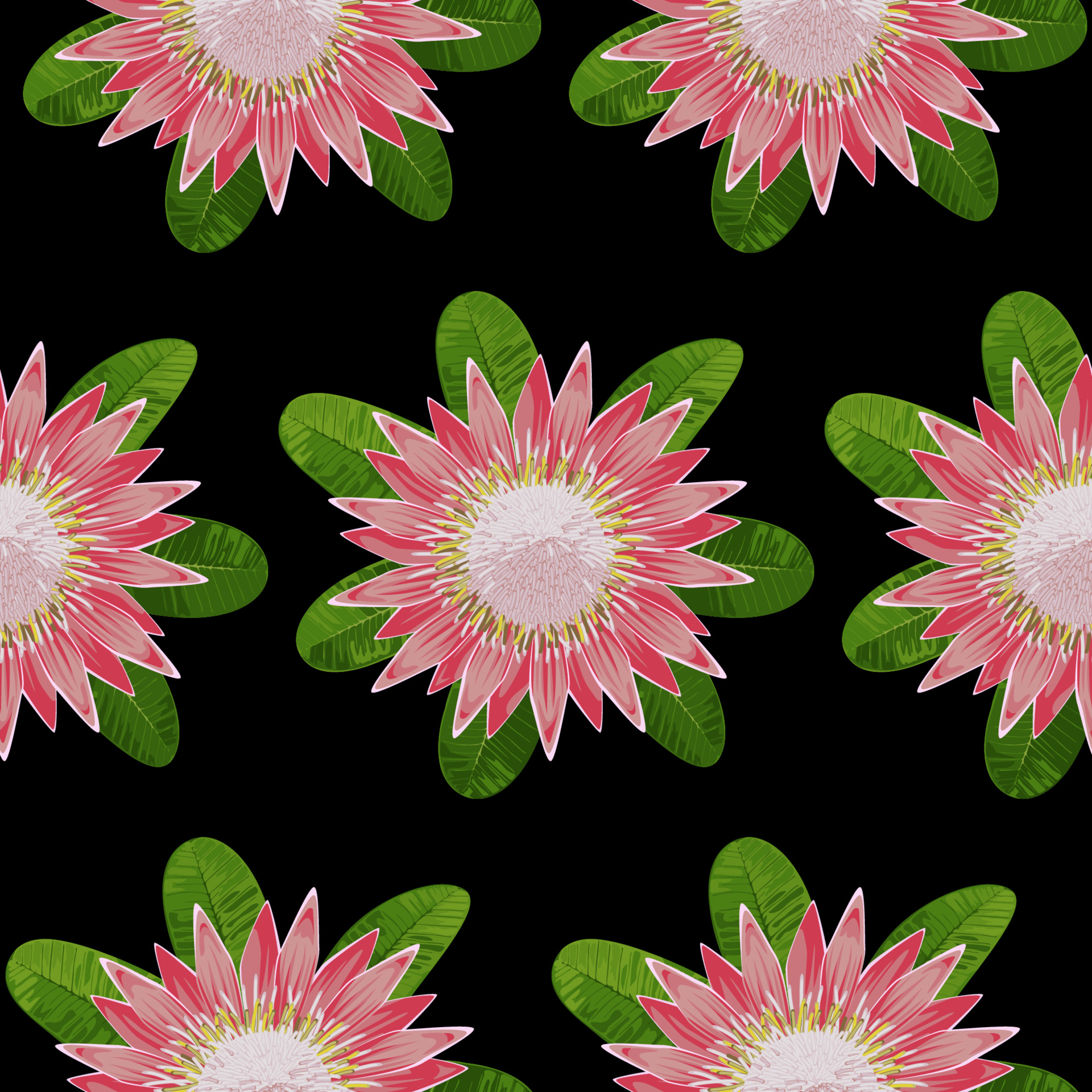 Protea Seamless Pattern 3445197 Vector Art at Vecteezy
