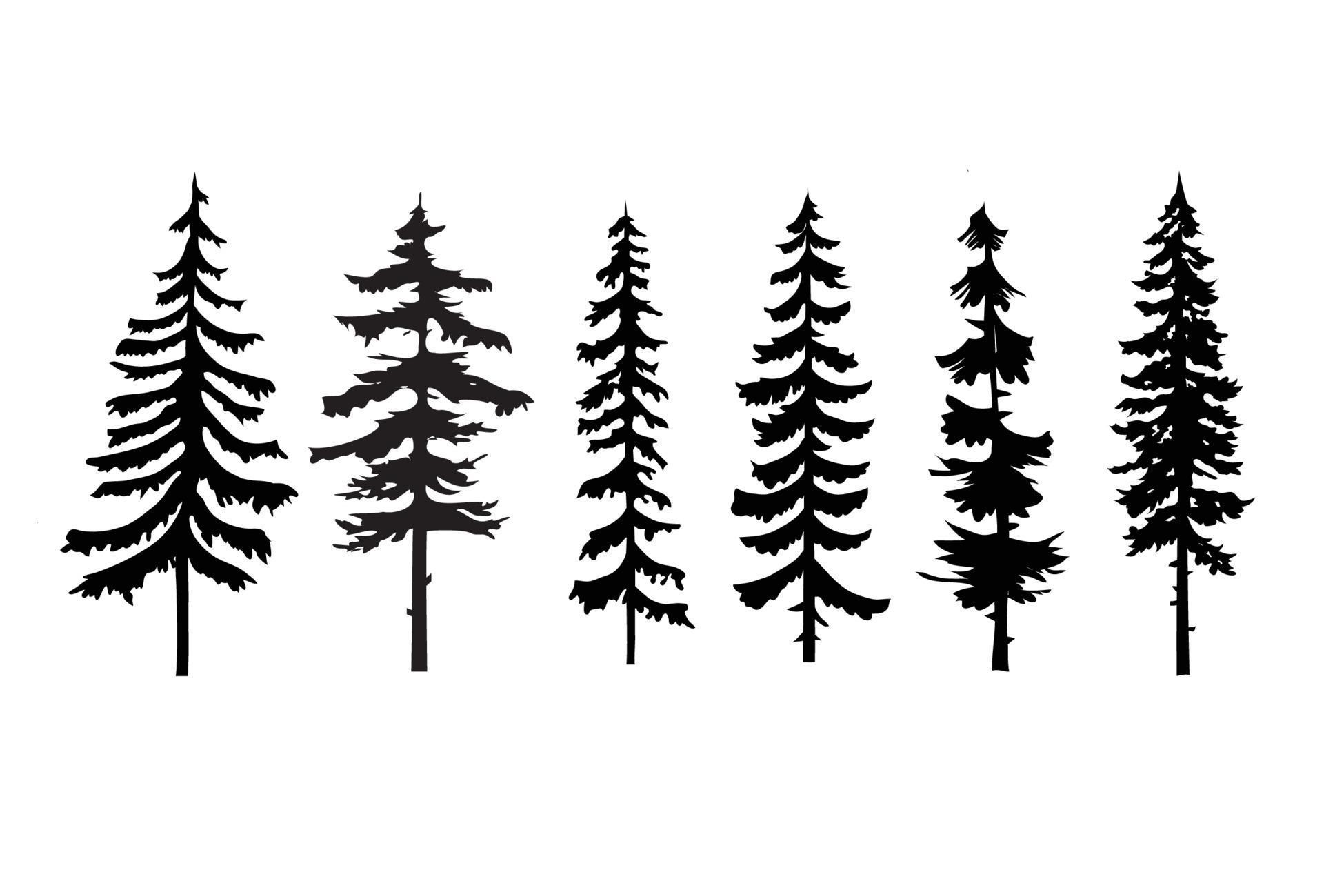 Collection of pine trees vector 3452130 Vector Art at Vecteezy