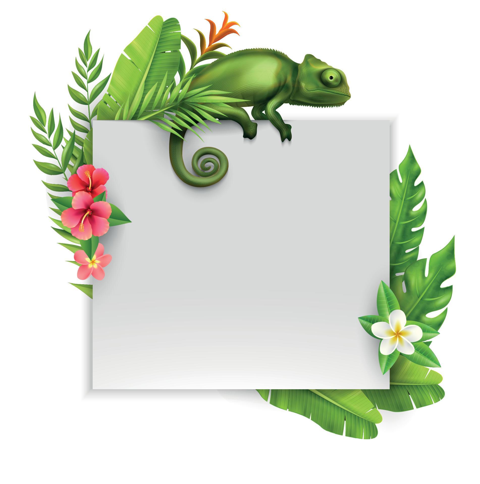 Chameleon Frame Realistic Composition 3468016 Vector Art at Vecteezy