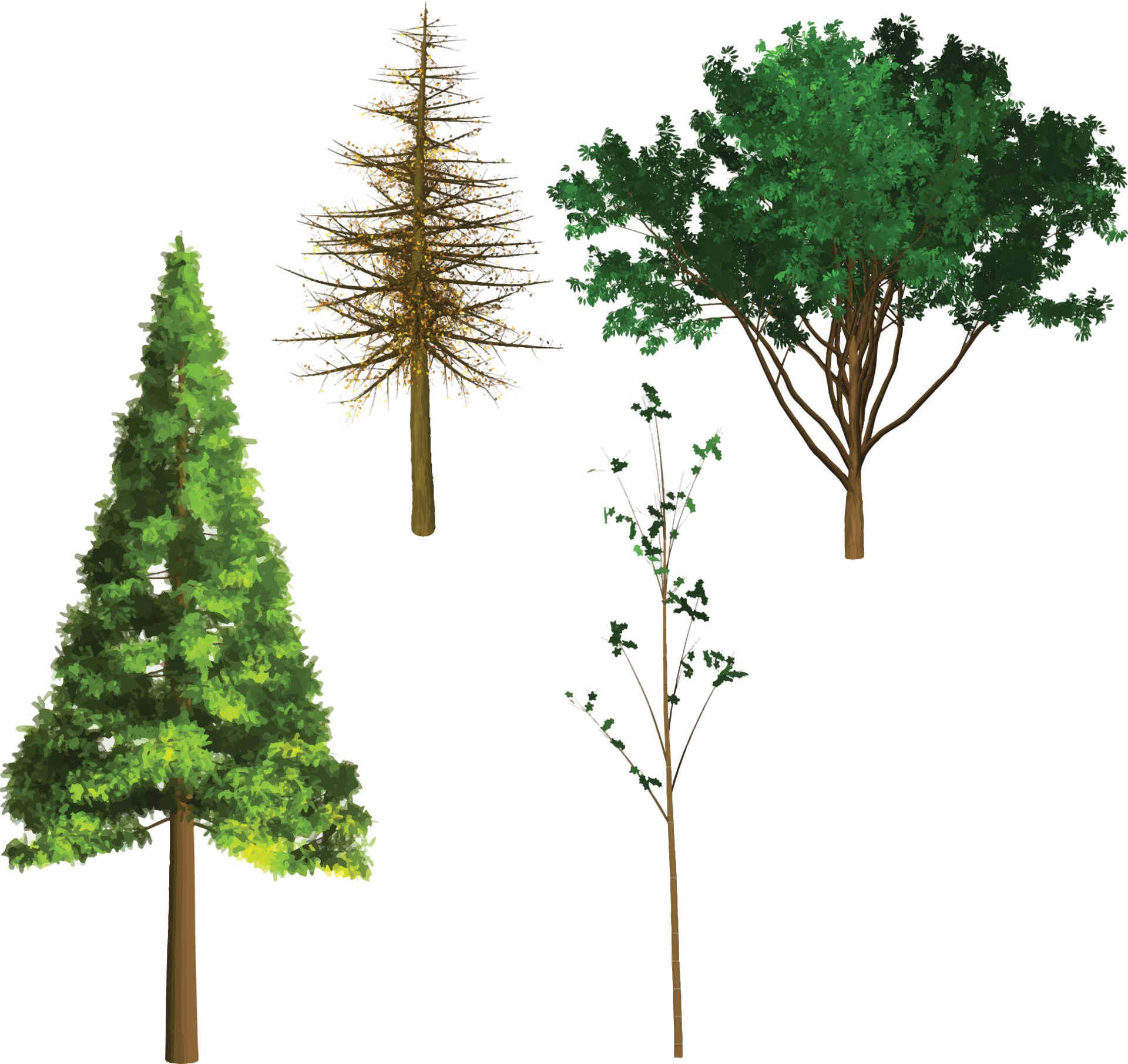 Free vector trees set download 3476406 Vector Art at Vecteezy Free vector trees set download 3476406 Vector Art at Vecteezy