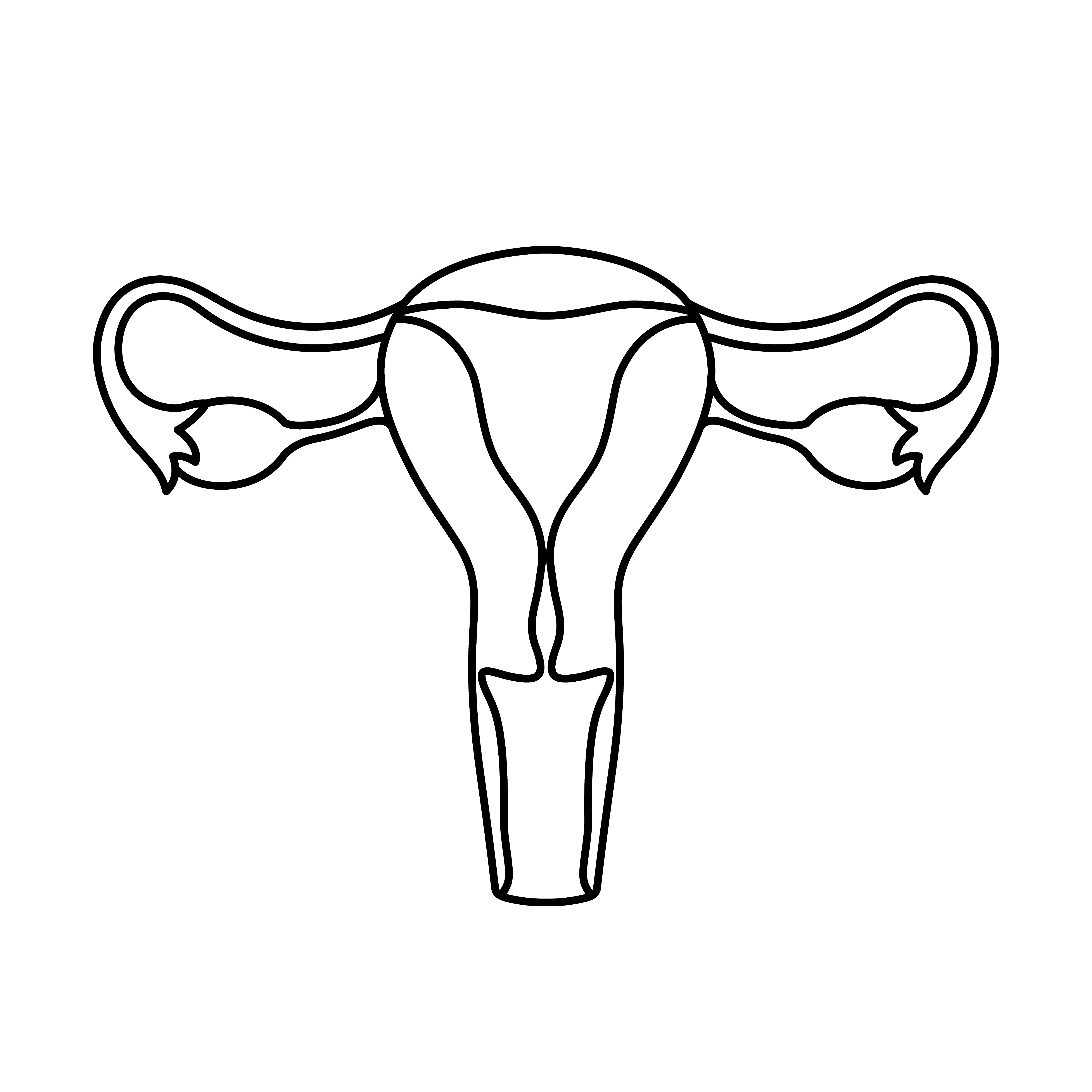 Female Reproductive Organs Outlined Illustration Internal Organ Icon