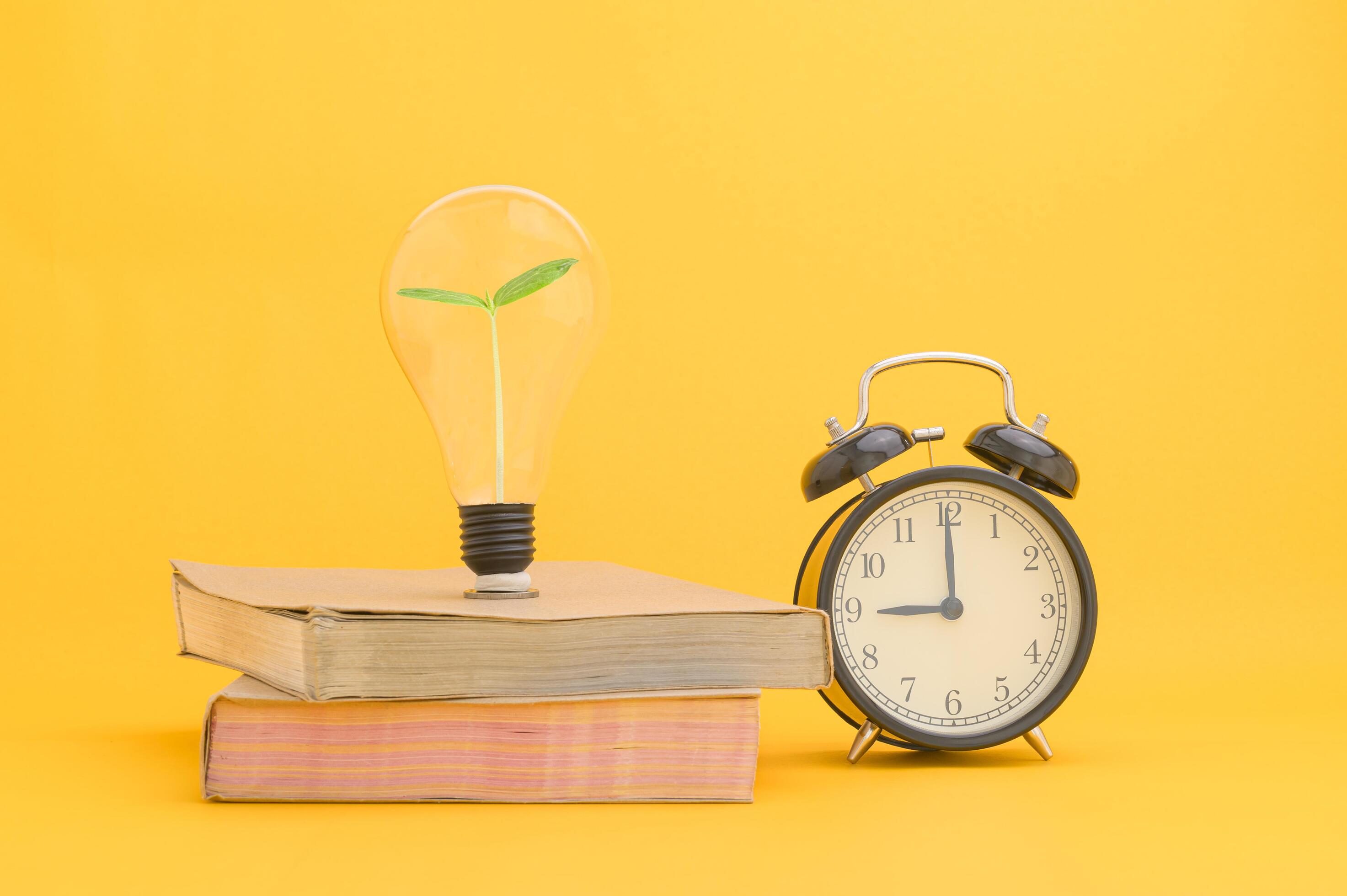 Read Books To Increase Knowledge And Skills 3534121 Stock Photo At Vecteezy read-books-to-increase-knowledge-and-skills-3534121-stock-photo-at-vecteezy