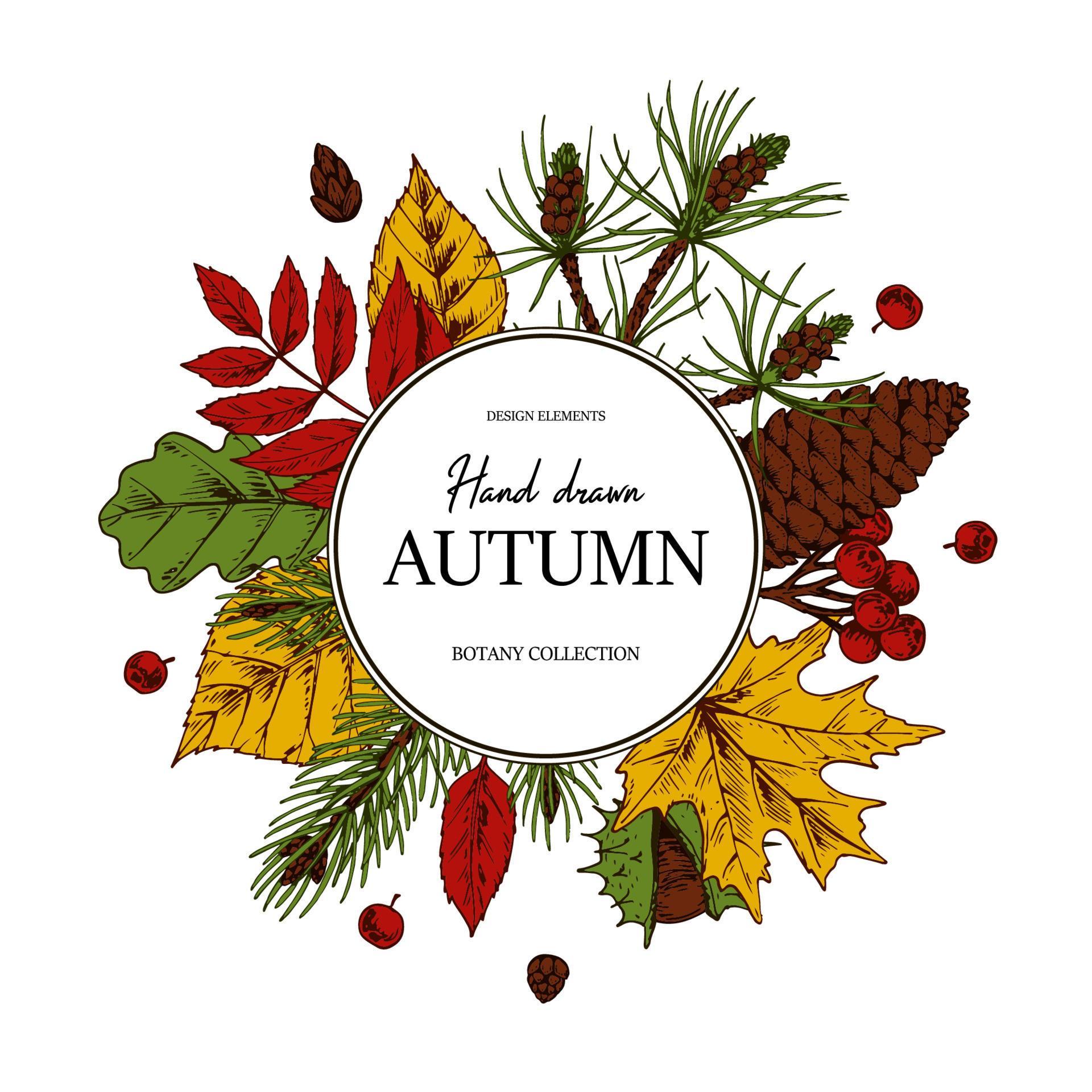 Hand drawn circle autumn botanical frame with leaves, cone, fir tree ...