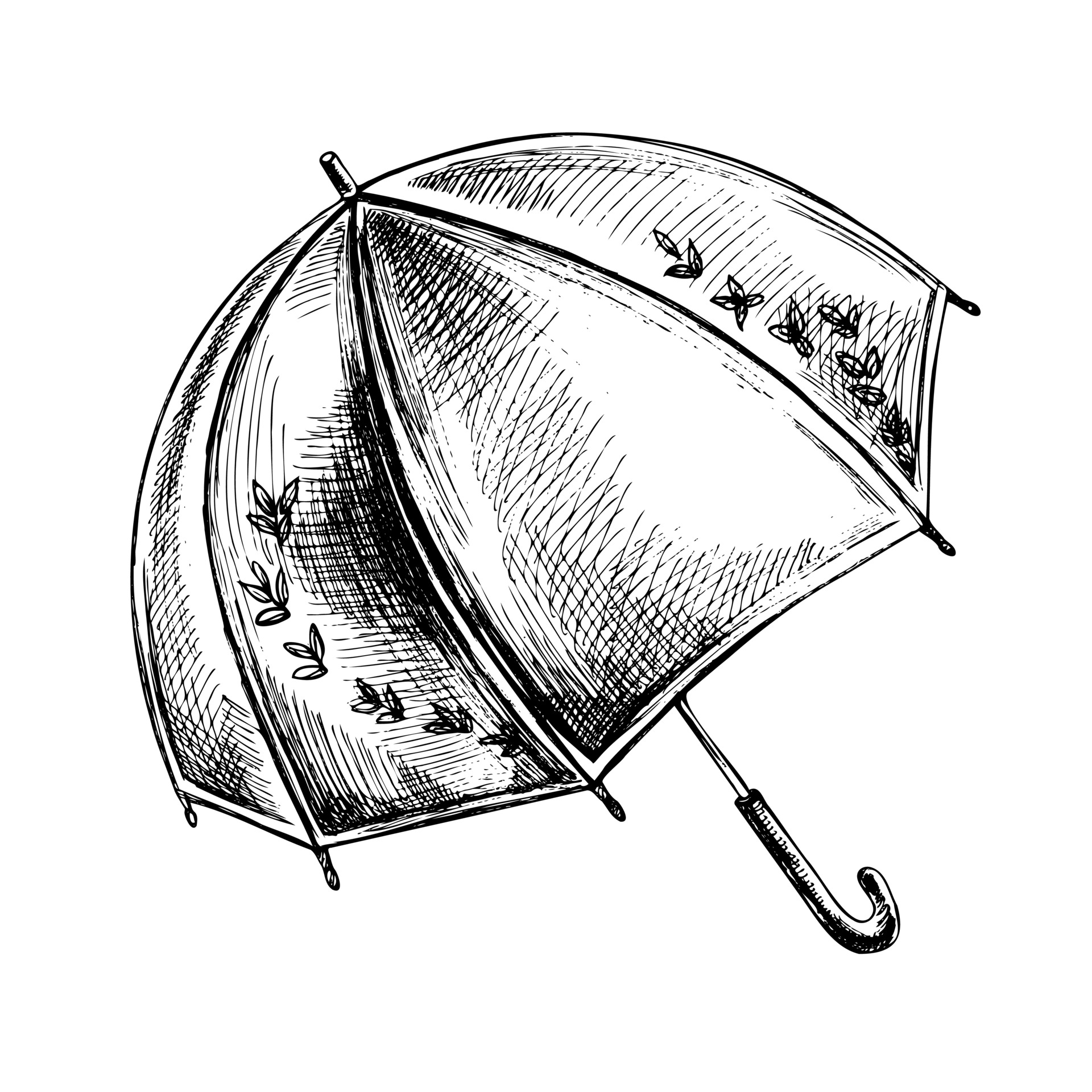Umbrella Drawing Sketch