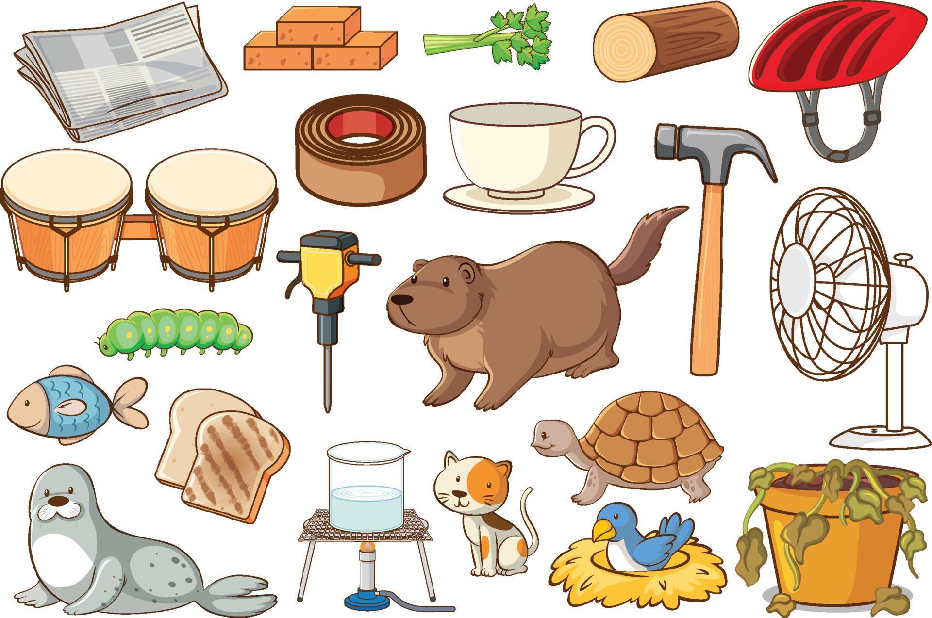 Set of various animals and objects 3568210 Vector Art at Vecteezy