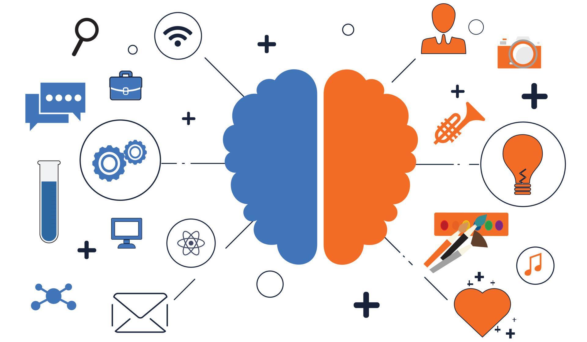 Vector illustration of the brain. The left hemisphere is responsible ...