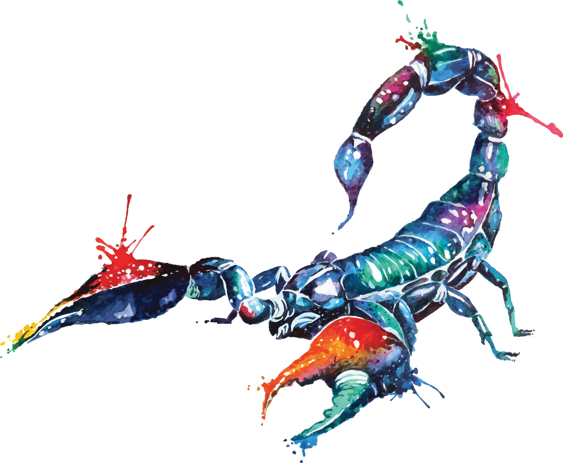 Watercolor scorpion.Exotic scorpion wild insect style fantasy ...