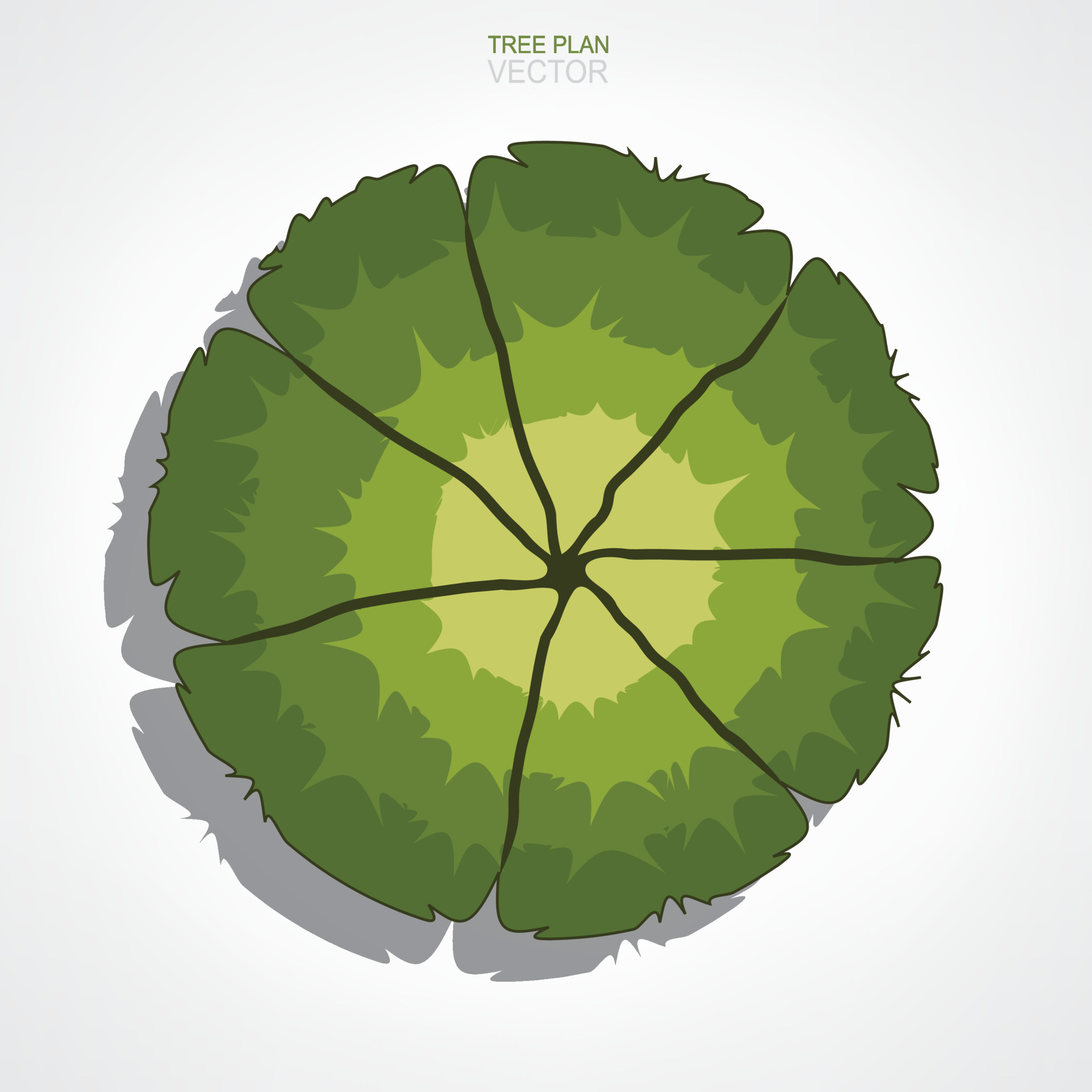 Tree plan. Abstract drawing sketch for landscape design. Vector ...