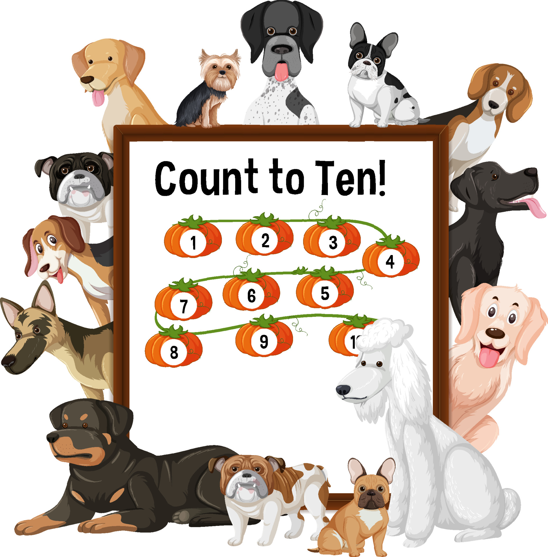 Count to Ten board with many different types of dogs 3697620 Vector Art ...
