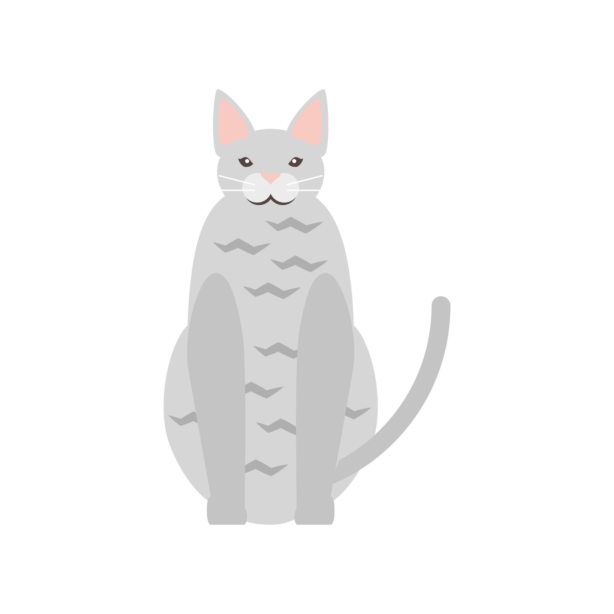gray pet cat 3755324 Vector Art at Vecteezy