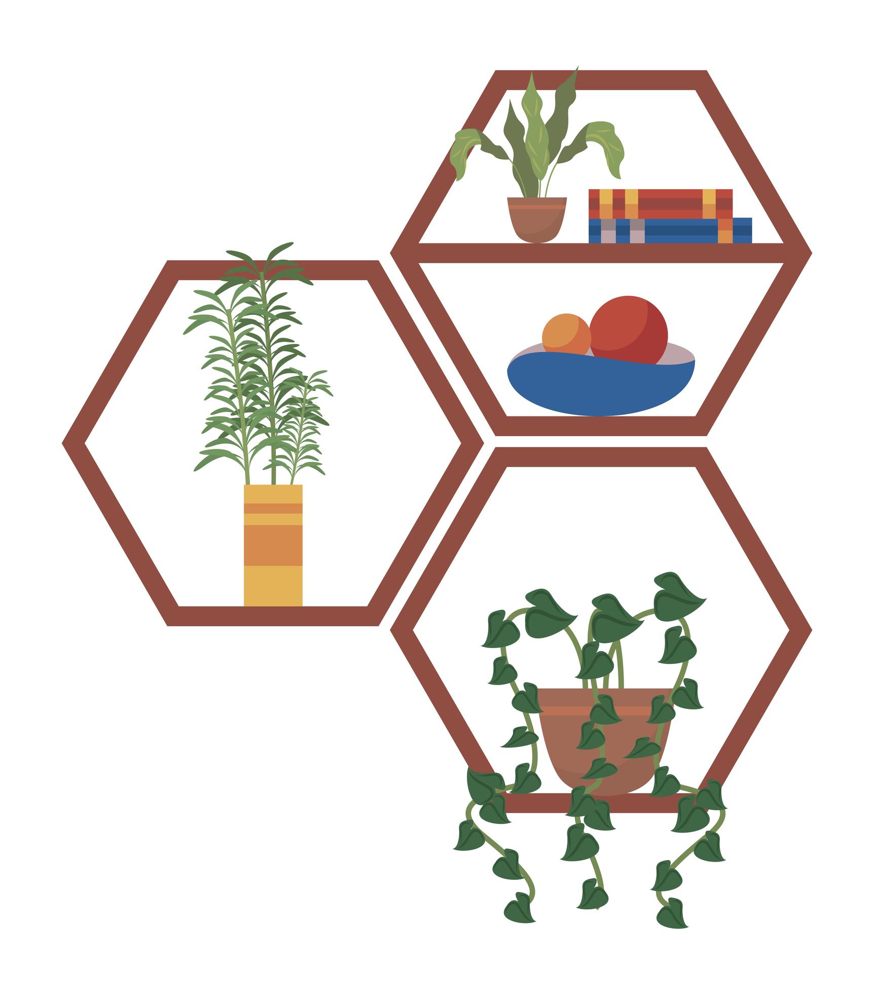 home shelves with plants books and bowl 3759790 Vector Art at Vecteezy