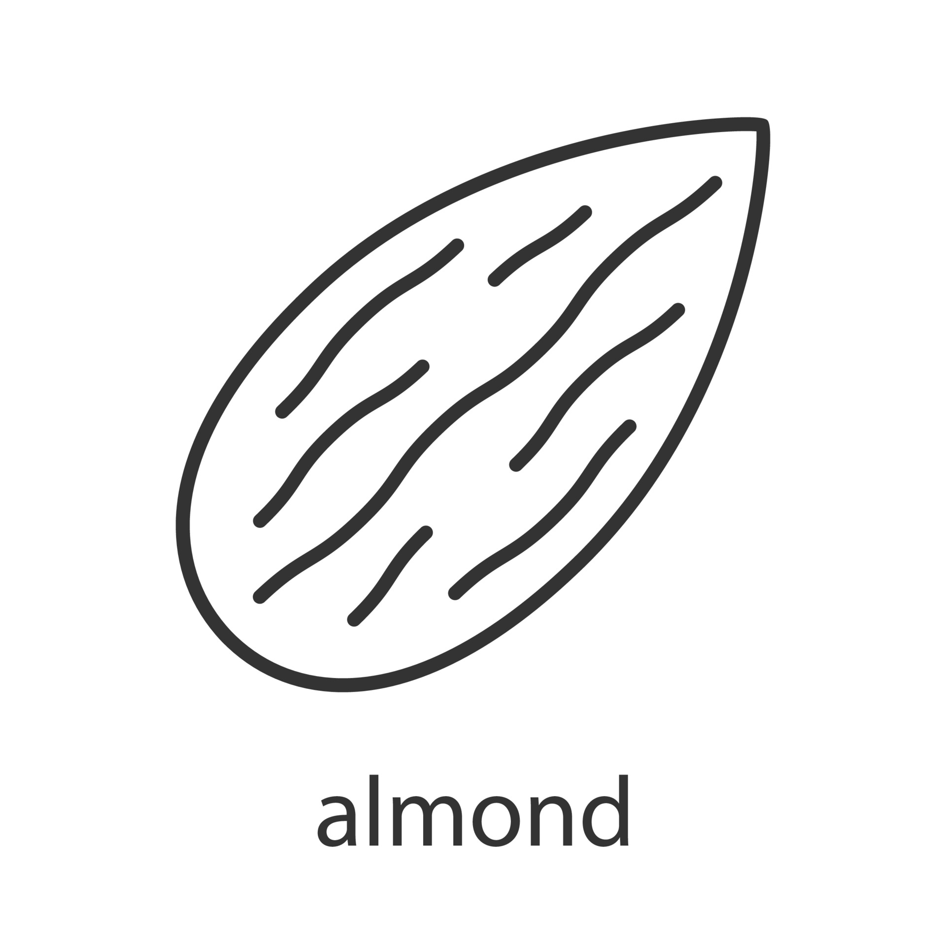 Almond linear icon. Thin line illustration. Contour symbol. Vector ... Almond linear icon. Thin line illustration. Contour symbol. Vector ...