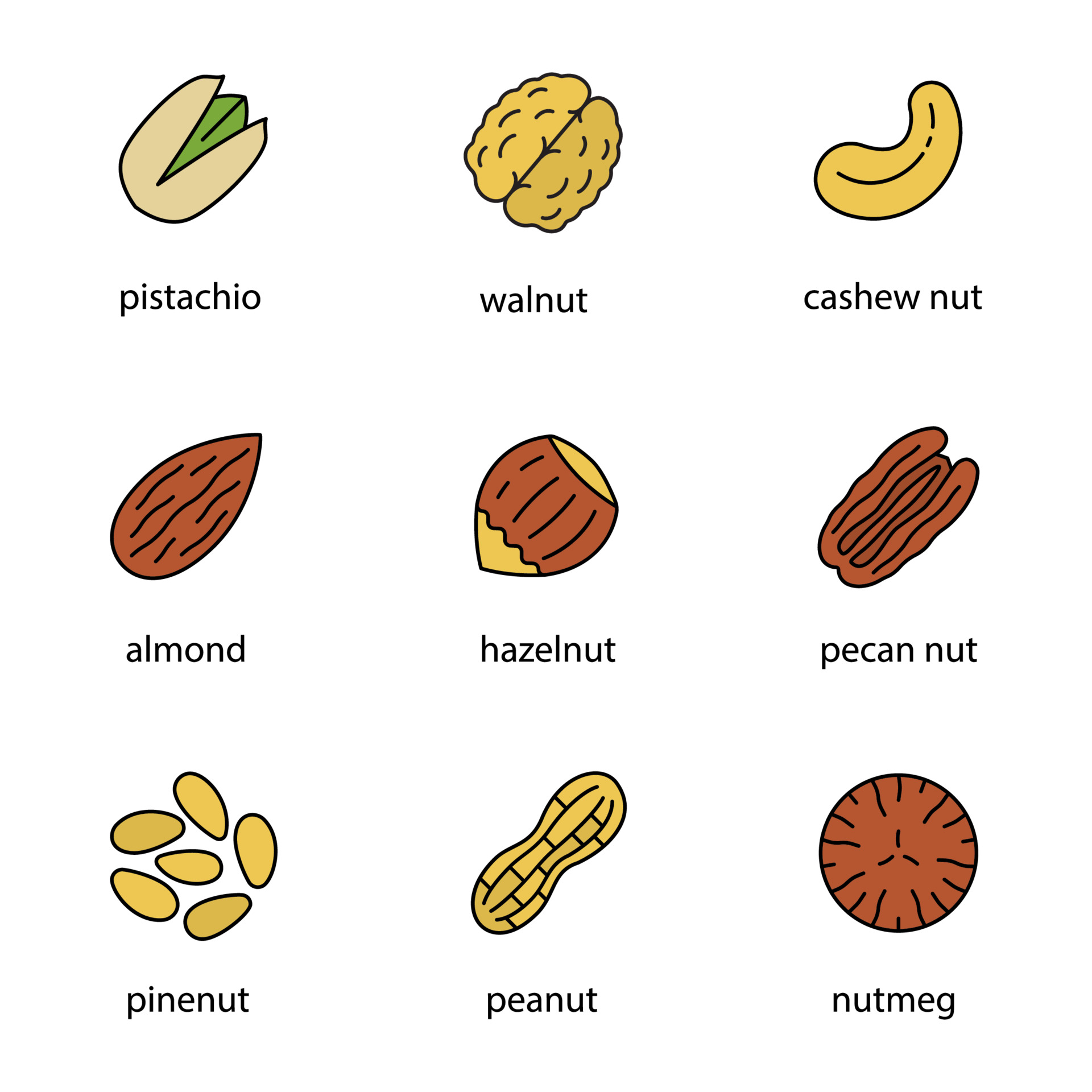 Nuts types color icons set. Pistachio, walnut, cashew and pecan nuts ... Nuts types color icons set. Pistachio, walnut, cashew and pecan nuts ...