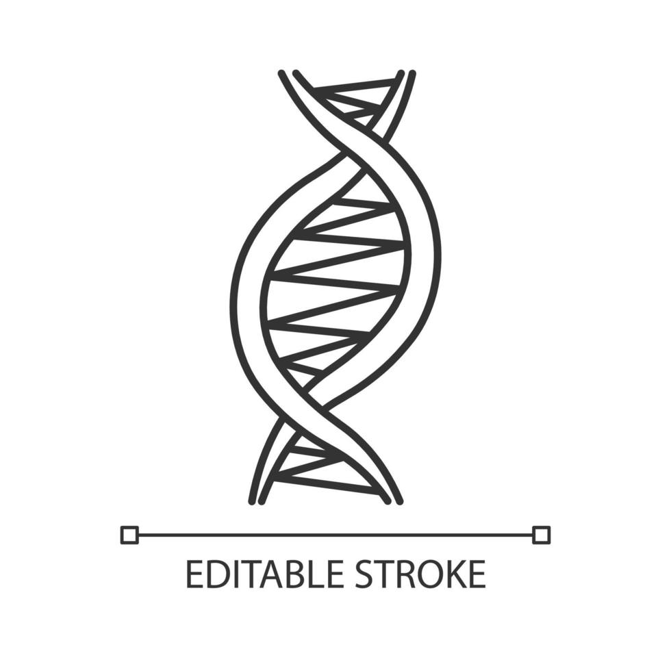 Left-handed DNA helix linear icon. Z-DNA. Deoxyribonucleic, nucleic ... Left-handed DNA helix linear icon. Z-DNA. Deoxyribonucleic, nucleic ...